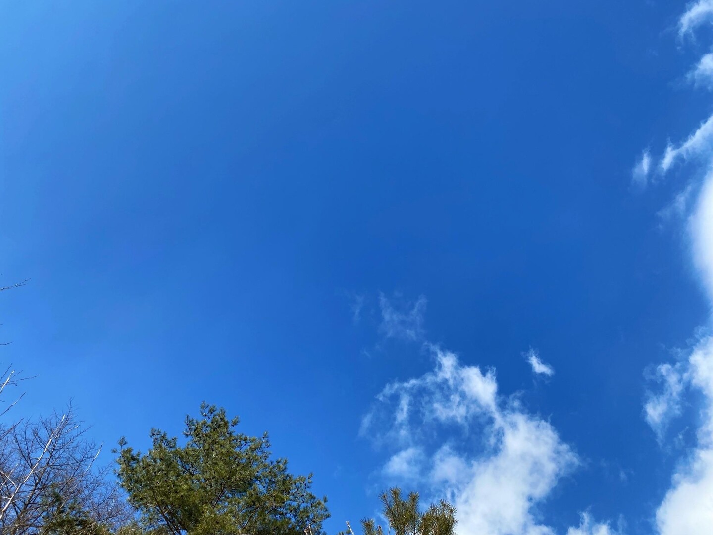 Nmamaさんの投稿したフィールドメモ | YAMAP / ヤマップ