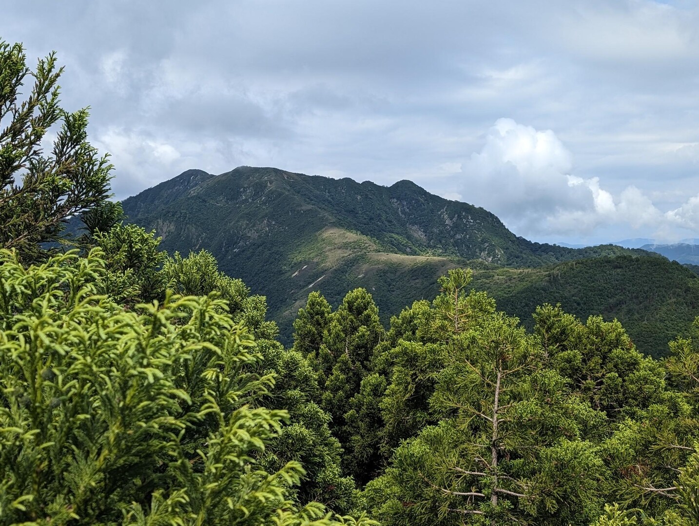 金草岳を途中リタイヤ😥 SOTA#JA/GF-086 / solo＊walker/midoさんの冠山・金草岳の活動データ | YAMAP / ヤマップ