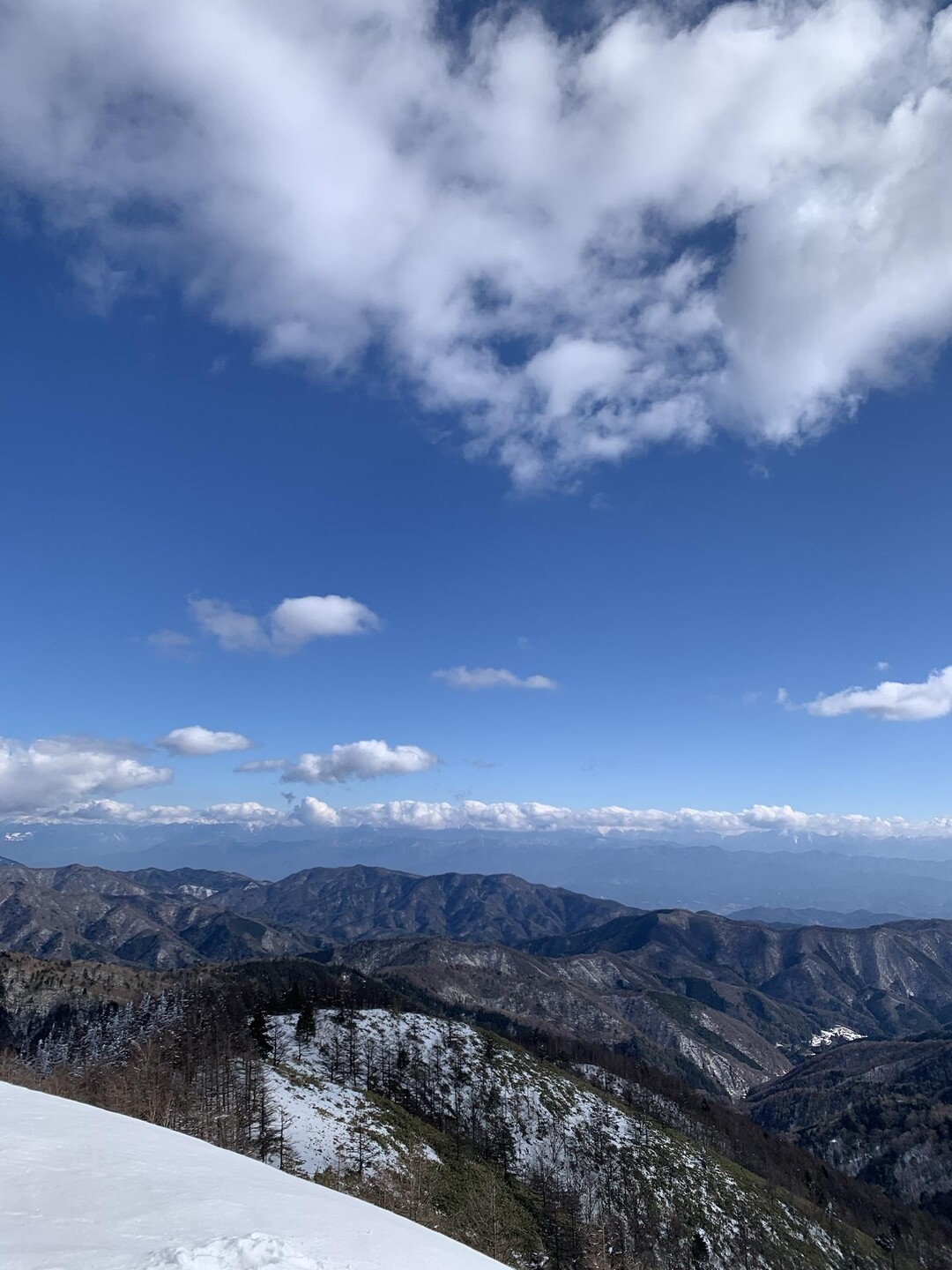 南沢山・横川山（湯舟沢山） / daiさんの恵那山・大判山・神坂山の活動データ | YAMAP / ヤマップ