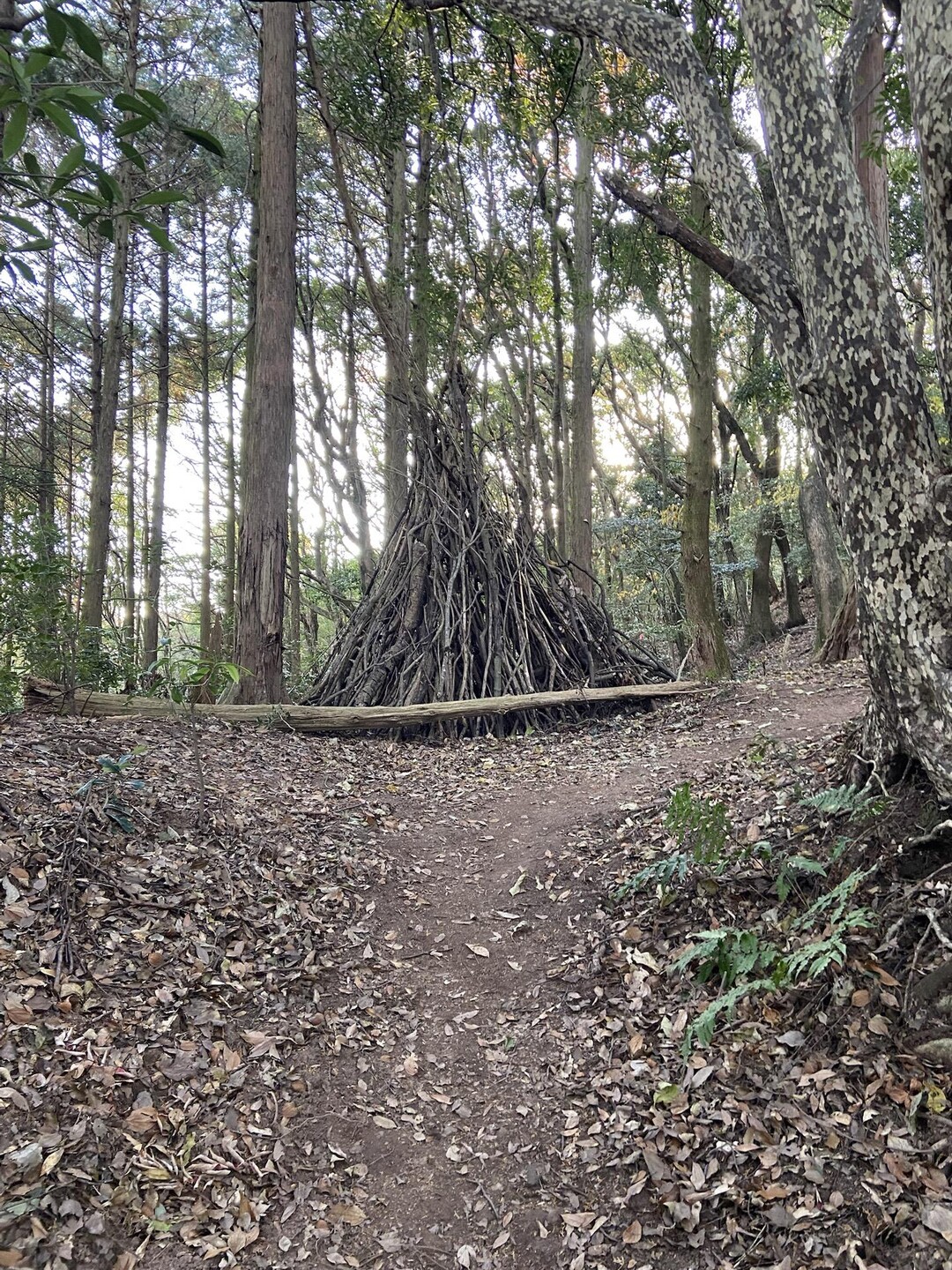 飯田山 / KudoMさんの飯田山の活動データ | YAMAP / ヤマップ