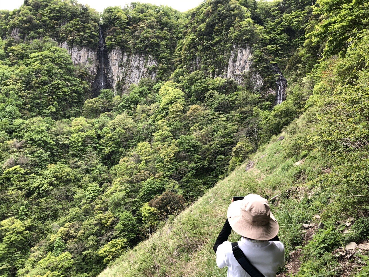 おいでませ📣歴史と花の山 Mt.SENJYOUに… / 💖🐰Roco🐰💖さんの大山・甲ヶ山・野田ヶ山の活動日記 | YAMAP / ヤマップ