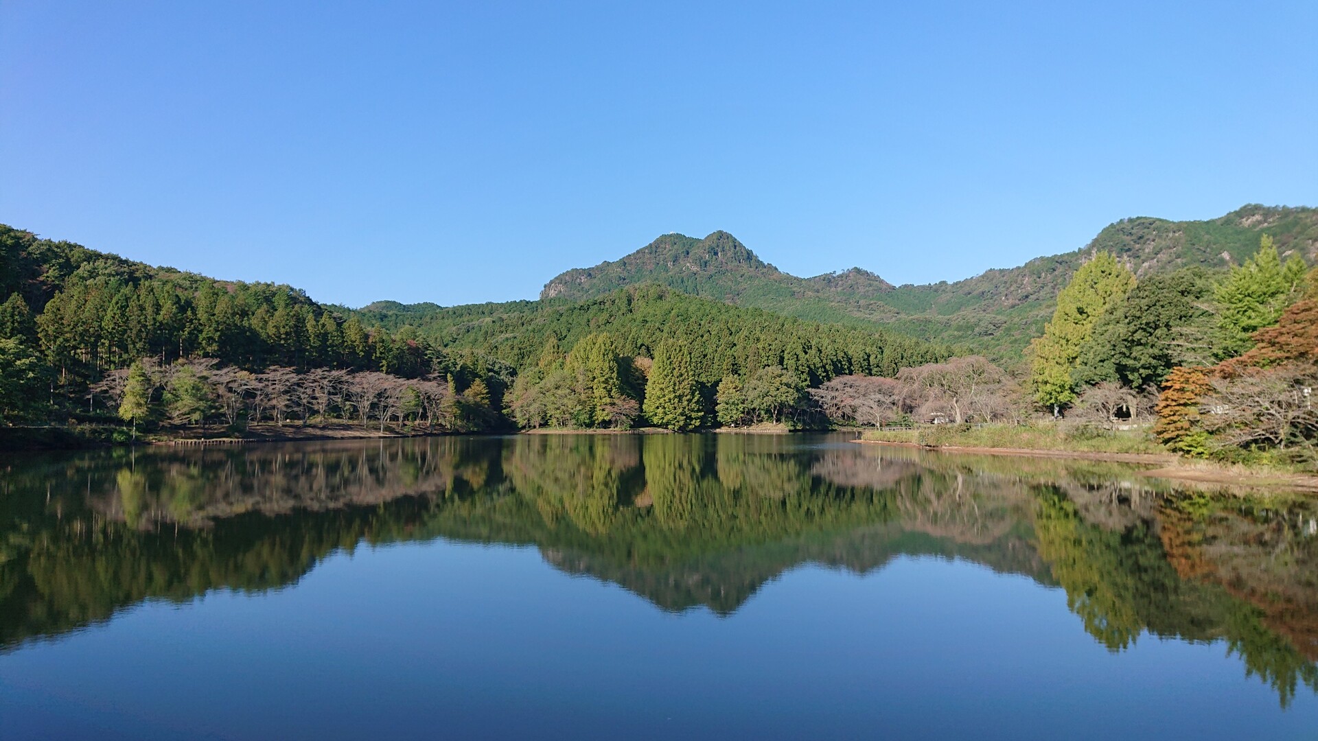宇都宮トレイルラン2021 / sakagrunさんの古賀志山・赤岩山・鞍掛山・男抱山・半蔵山の活動日記 | YAMAP / ヤマップ