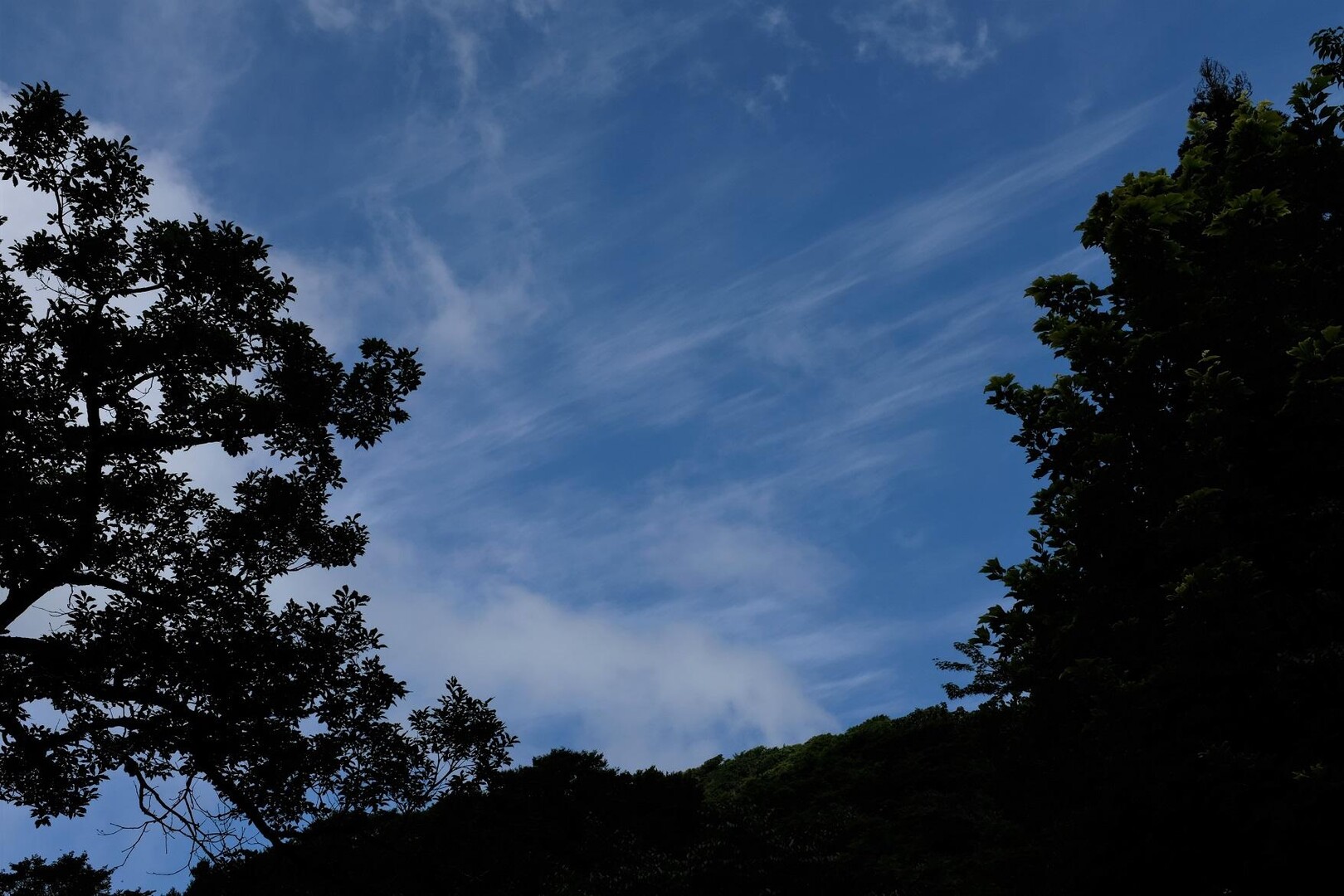 ’23・6・24 ⛰ 医王山、ダオテラス... / SMさんのモーメント | YAMAP / ヤマップ