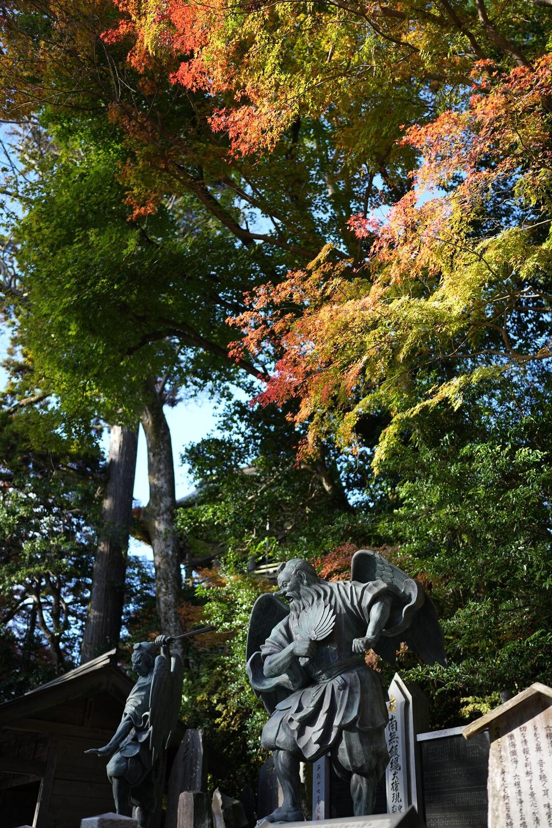 紅葉🍁高尾山ハイキング / puku68さんの高尾山・陣馬山・景信山の活動データ | YAMAP / ヤマップ
