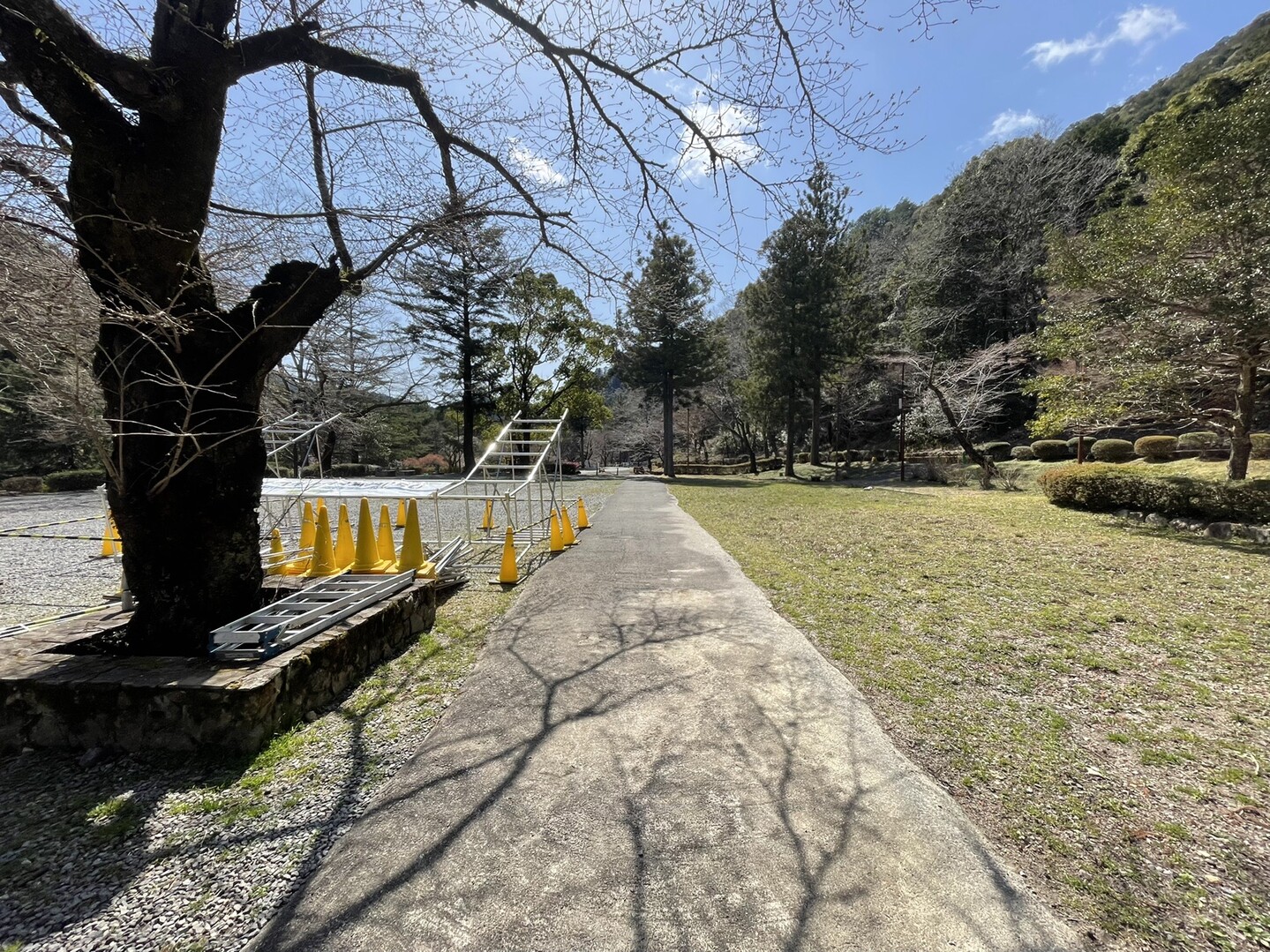 OSJ新城トレイル 11K 試走-2022-03-24 / aokaiさんの宇連山・鳳来寺山・岩古谷山の活動データ | YAMAP / ヤマップ