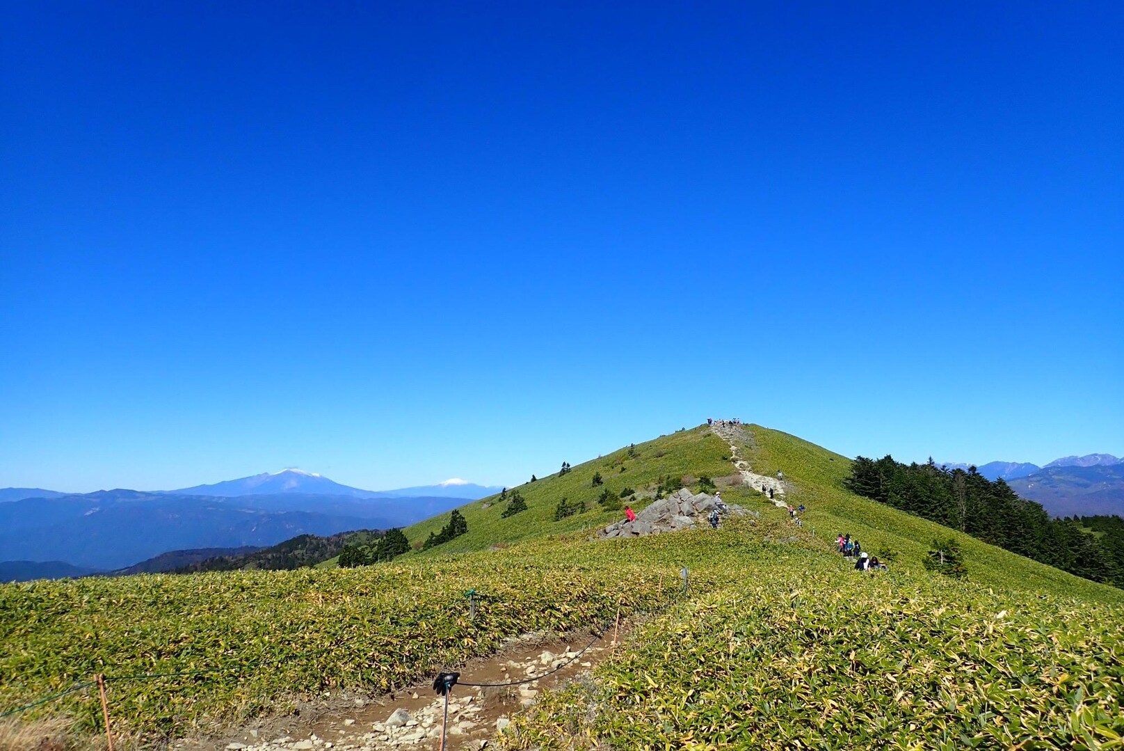 千両山・富士見台 / rey_seroさんの恵那山・大判山・神坂山の活動データ | YAMAP / ヤマップ