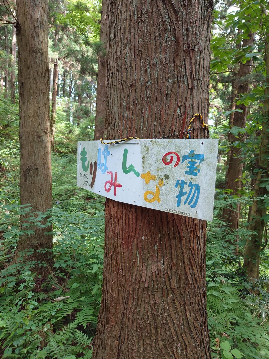 菩提寺山 / ko1さんの菩提寺山・高立山・護摩堂山の活動データ | YAMAP / ヤマップ