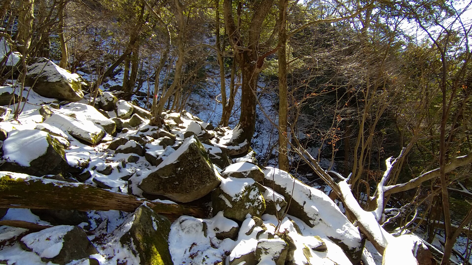 Mixさんの投稿したフィールドメモ | YAMAP / ヤマップ