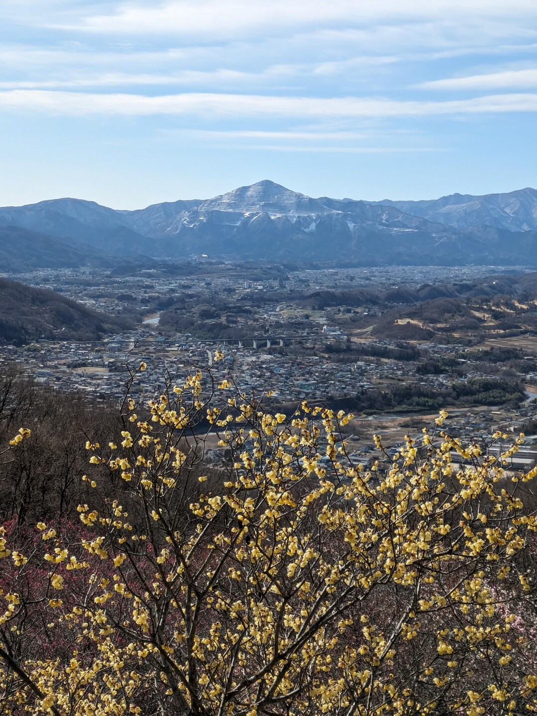 宝登山(長瀞アルプス) / Sam&Azuさんの宝登山・長瀞アルプス・不動山・陣見山・鐘撞堂山の活動データ | YAMAP / ヤマップ