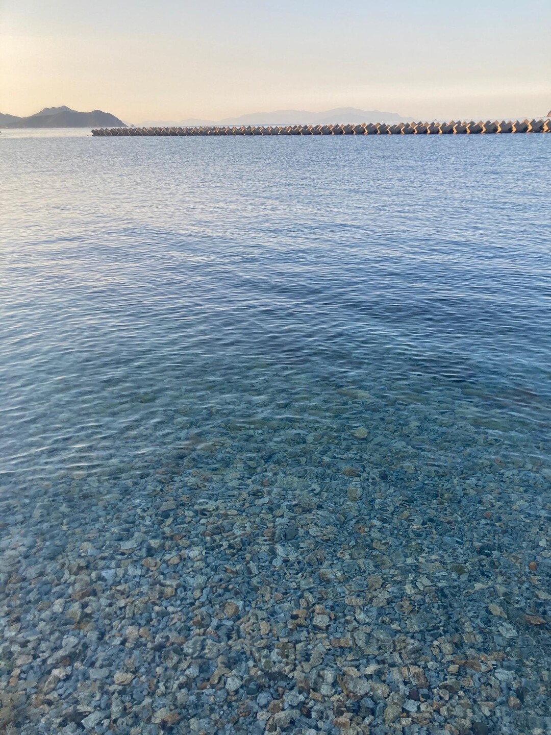 阿讃縦走路③碁浦まで / k.kさんの竜王山（讃岐山脈）・大川山の活動データ | YAMAP / ヤマップ