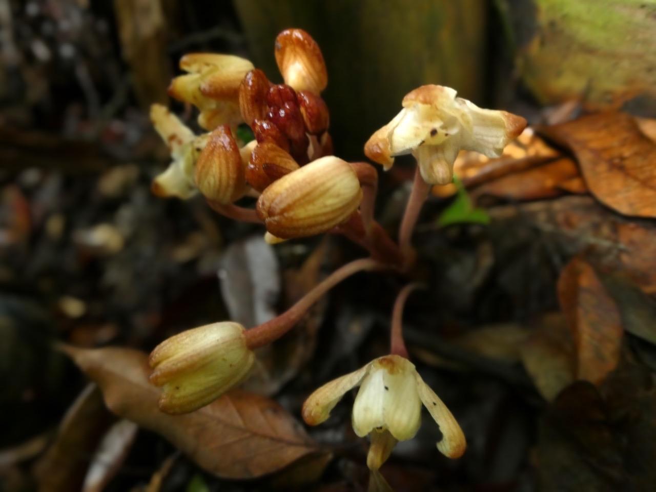 岩魚先生が呼びかけてくださって8名で高尾... / skipさんのモーメント | YAMAP / ヤマップ