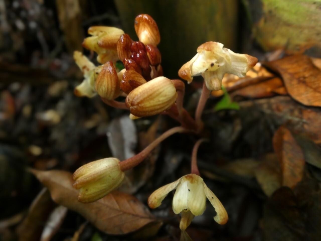 岩魚先生が呼びかけてくださって8名で高尾... / skipさんのモーメント | YAMAP / ヤマップ