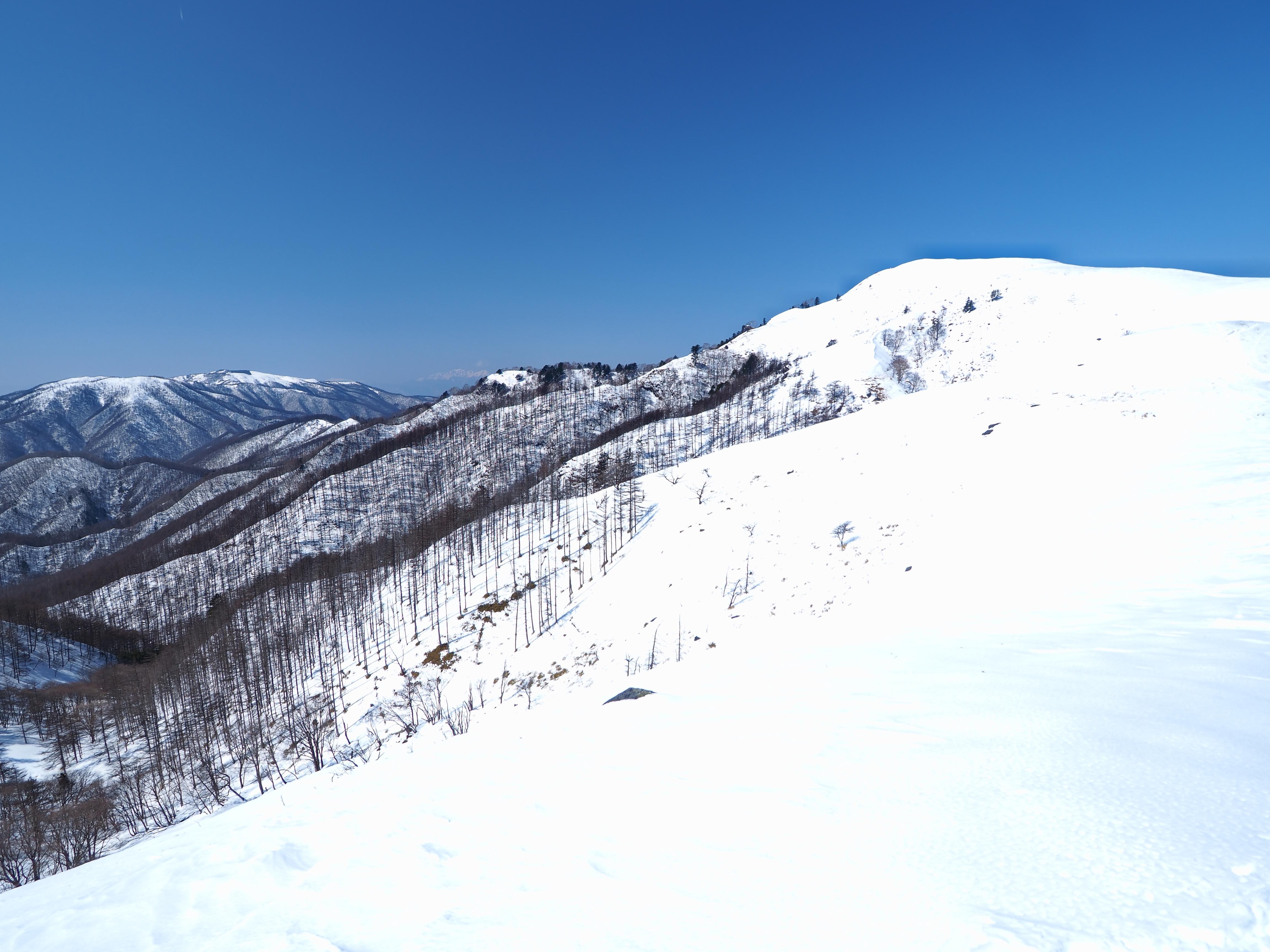 和田山北峰 / ICHI JUNさんの美ヶ原の活動データ | YAMAP / ヤマップ