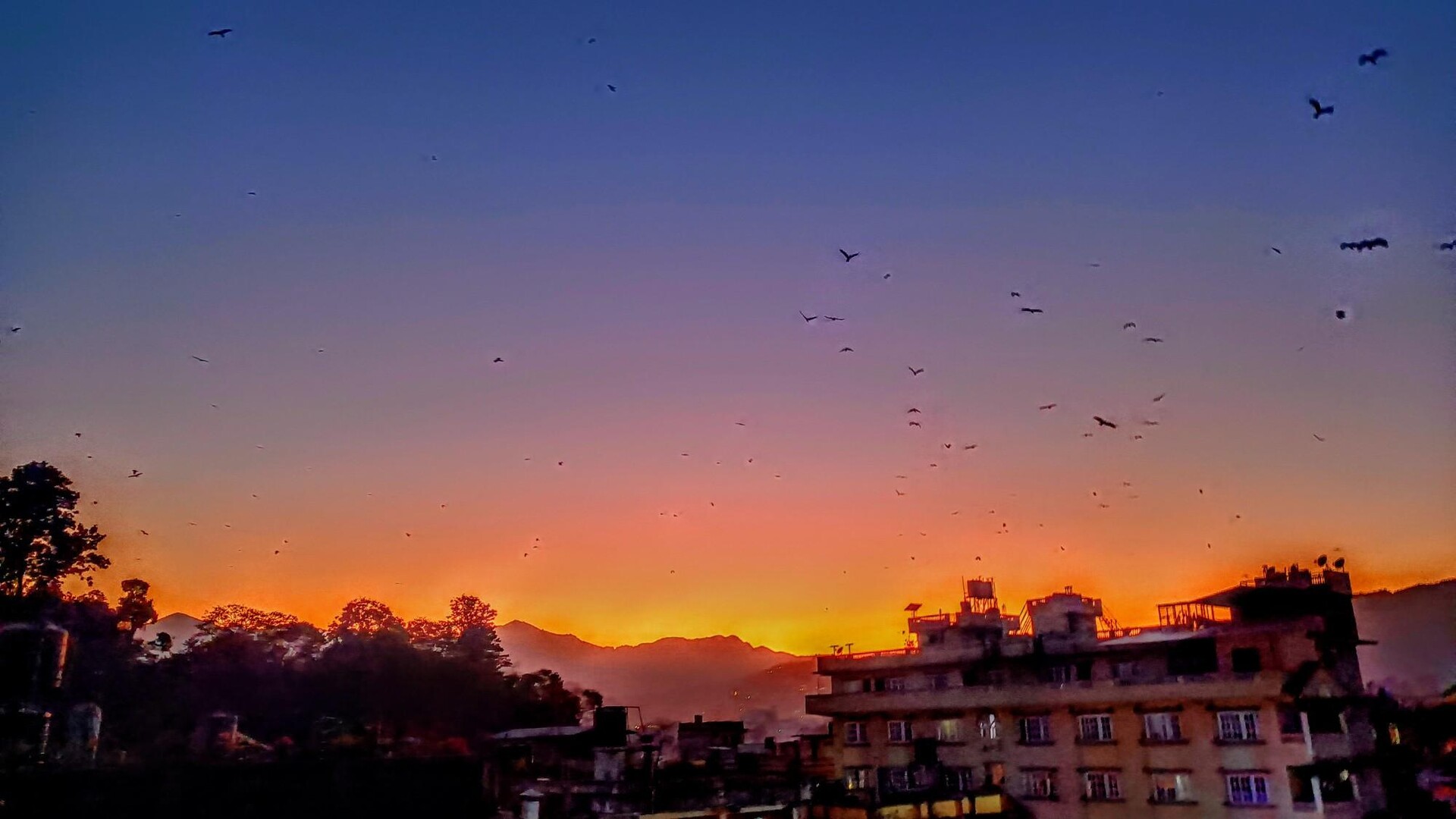 約2ヶ月滞在のネパール。 何か飽きてきた... / k420さんのモーメント | YAMAP / ヤマップ