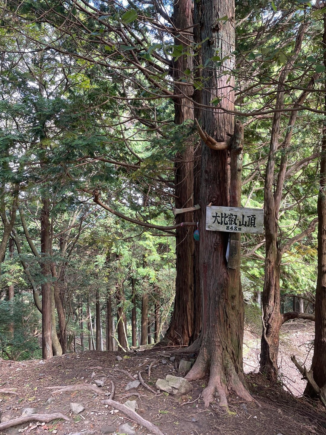 大比叡・四明岳・修学院山 / silkoさんの比叡山・横高山・梶山の活動データ | YAMAP / ヤマップ