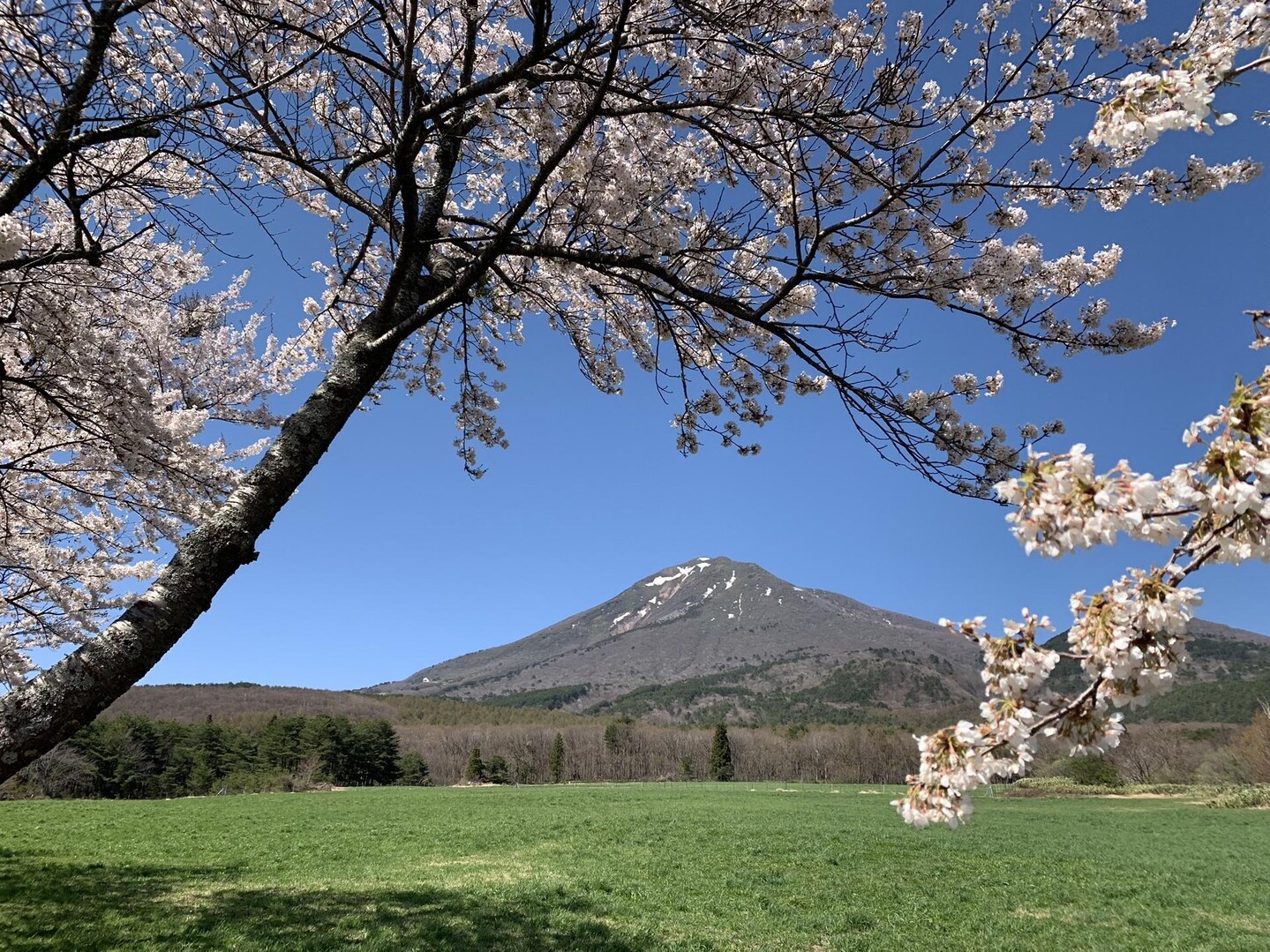 磐梯山の麓に行ってきました。 今頃桜🌸... / Ebiさんのモーメント | YAMAP / ヤマップ