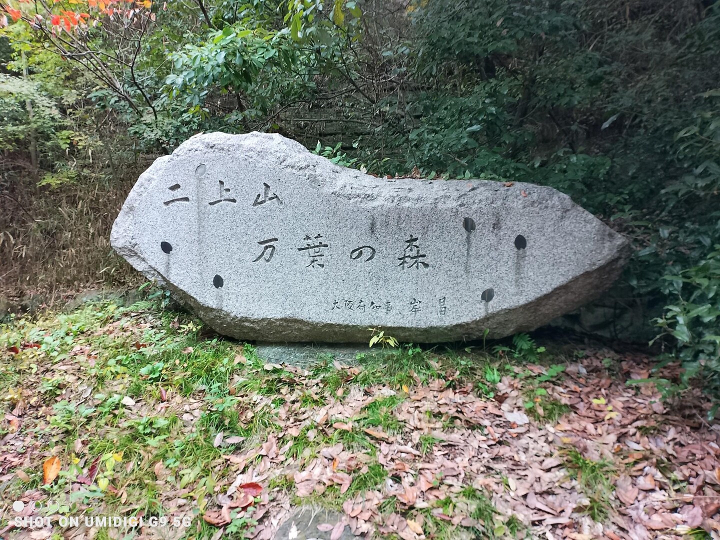 二上山（雌岳）・二上山（雄岳）・銀峰 / SGさんの金剛山・二上山・大和葛城山の活動データ | YAMAP / ヤマップ