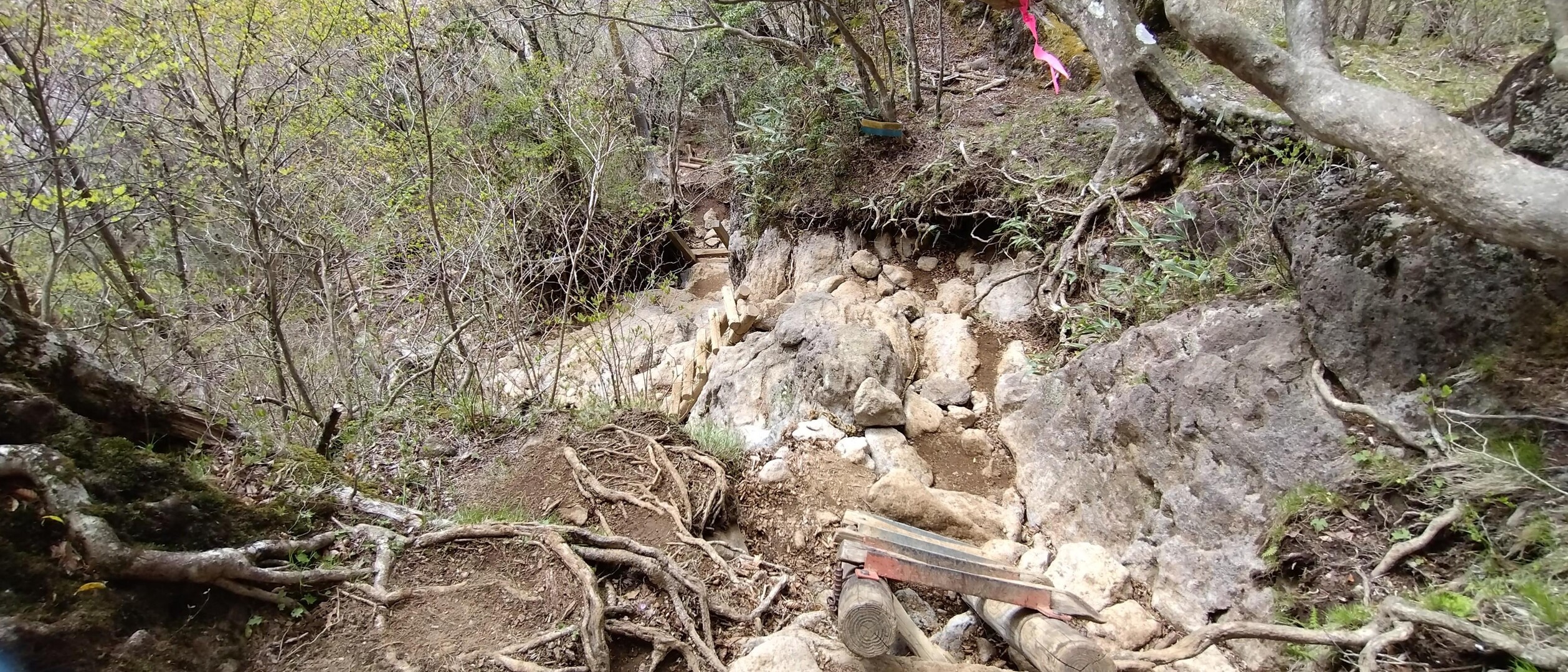 ピッポさんの投稿したフィールドメモ | YAMAP / ヤマップ