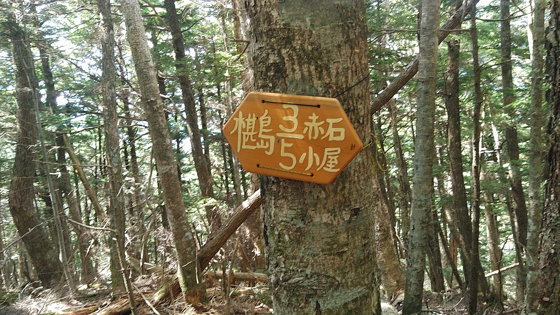 すろうにん😶🌫️さんの投稿したフィールドメモ | YAMAP / ヤマップ