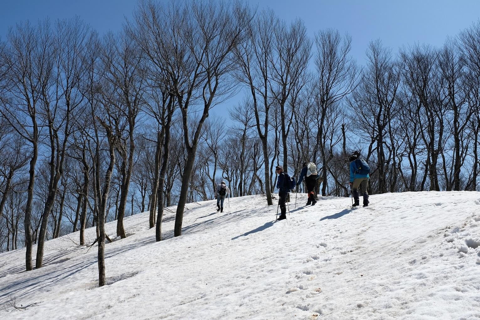 ’23・3・29 ⛄🌺 医王山、蛇尾山 / SMさんの医王山・白兀山・箱屋谷山の活動データ | YAMAP / ヤマップ