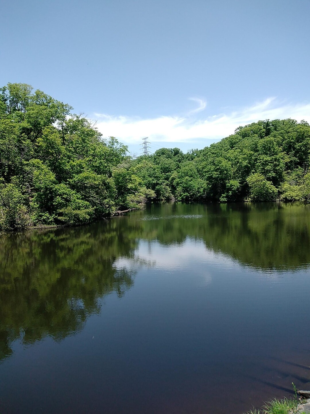 河内飯盛山～星田妙見宮 / Yuuさんの交野山・国見山の活動データ | YAMAP / ヤマップ