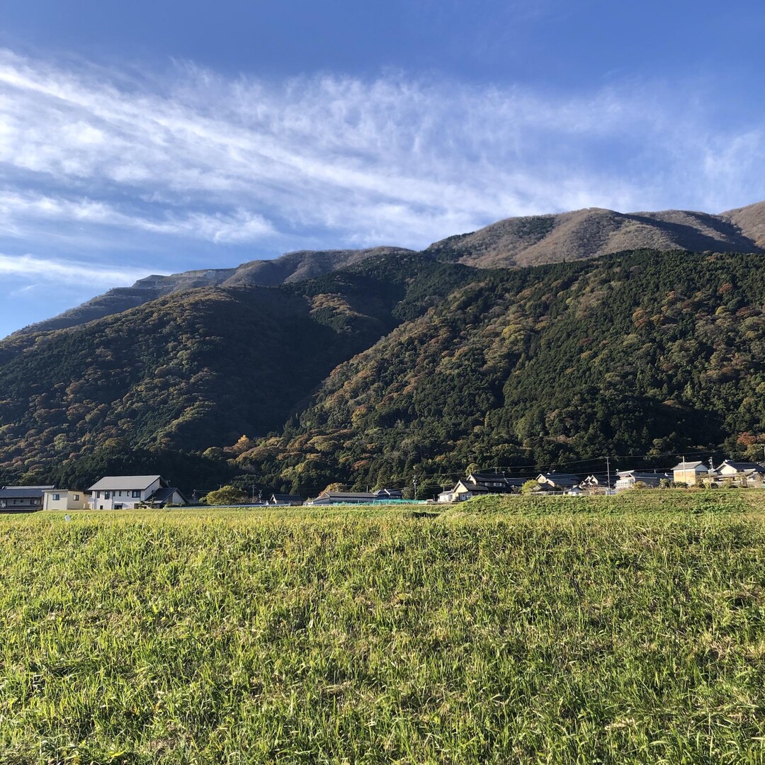 藤原岳・天狗岩 / rayさんの藤原岳・御池岳の活動データ | YAMAP / ヤマップ