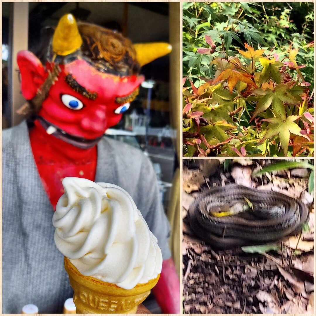 吉備津神社から、庚申山・吉備中山・龍王山 / Shimo KJさんの吉備中山・龍王山の活動データ | YAMAP / ヤマップ