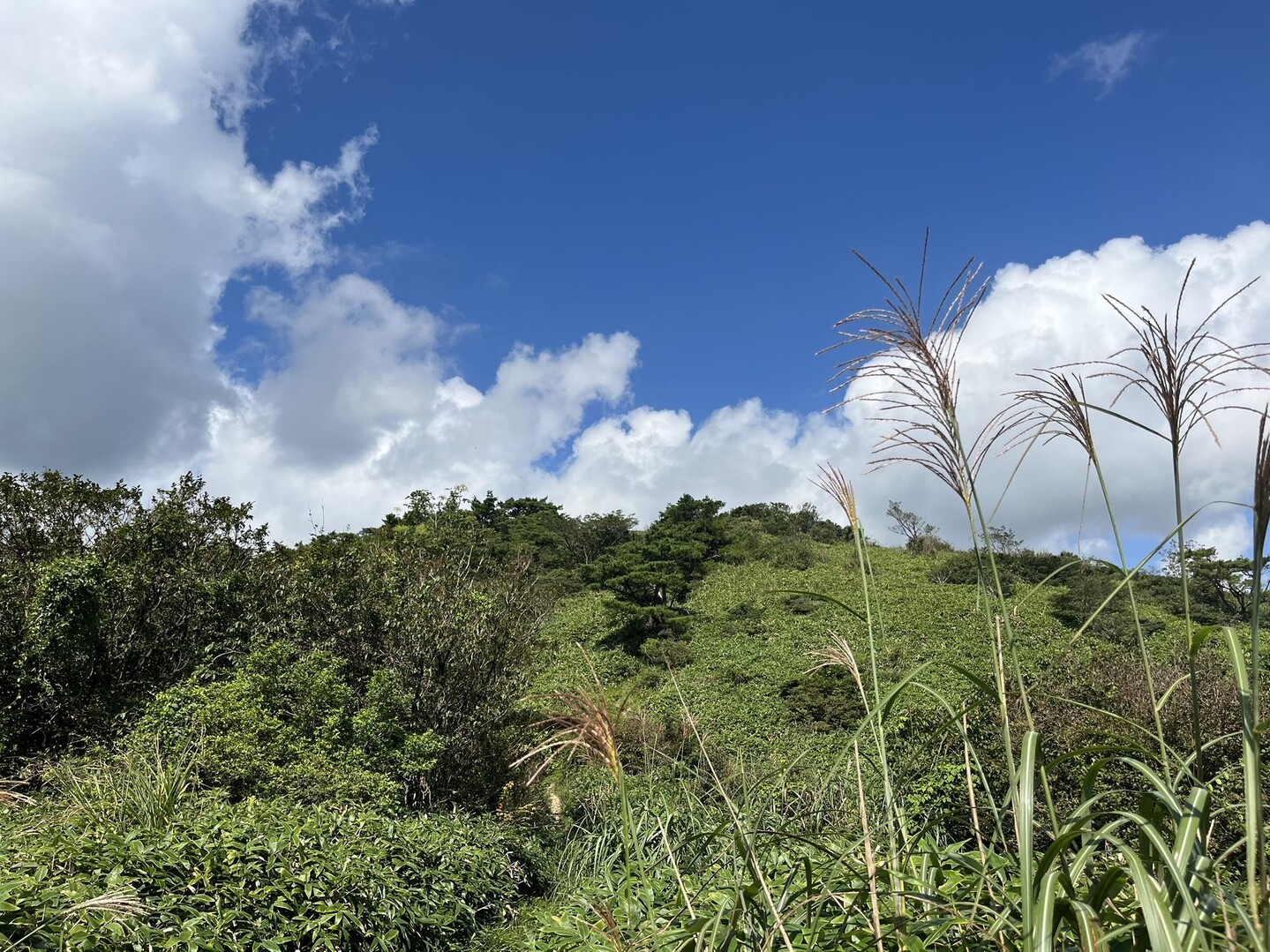 天山日より⁈ / hiyoさんの天山の活動データ | YAMAP / ヤマップ