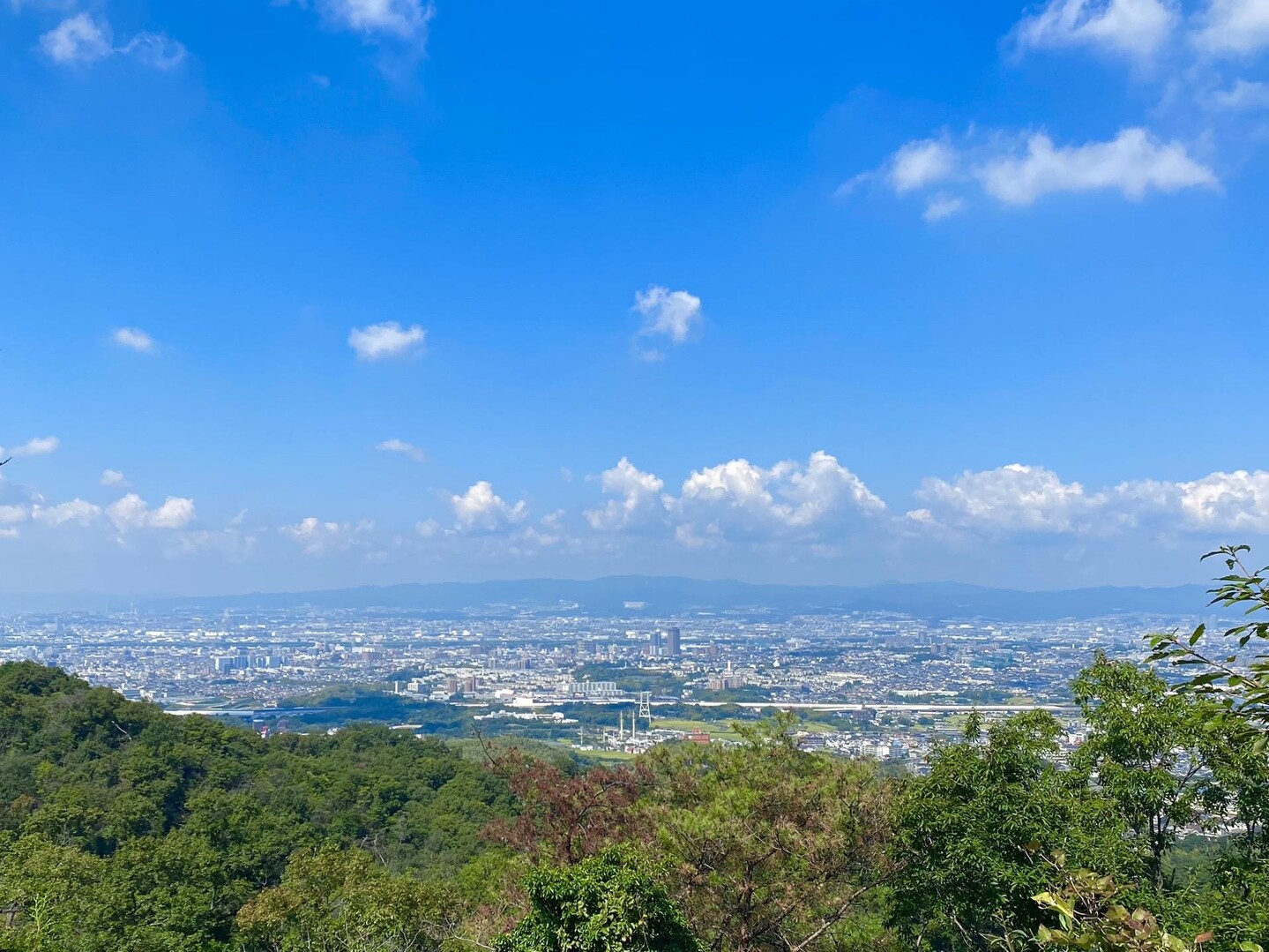 尾根伝いの絶景🏙星田連山⛰…松ノ浜山・飯盛小山・地蔵ヶ谷山・木根山・踏割石山・羽伏山・東小松山・南大谷山・大谷山・弁財天山... / nataiさんの交野山・国見山の活動データ | YAMAP ...