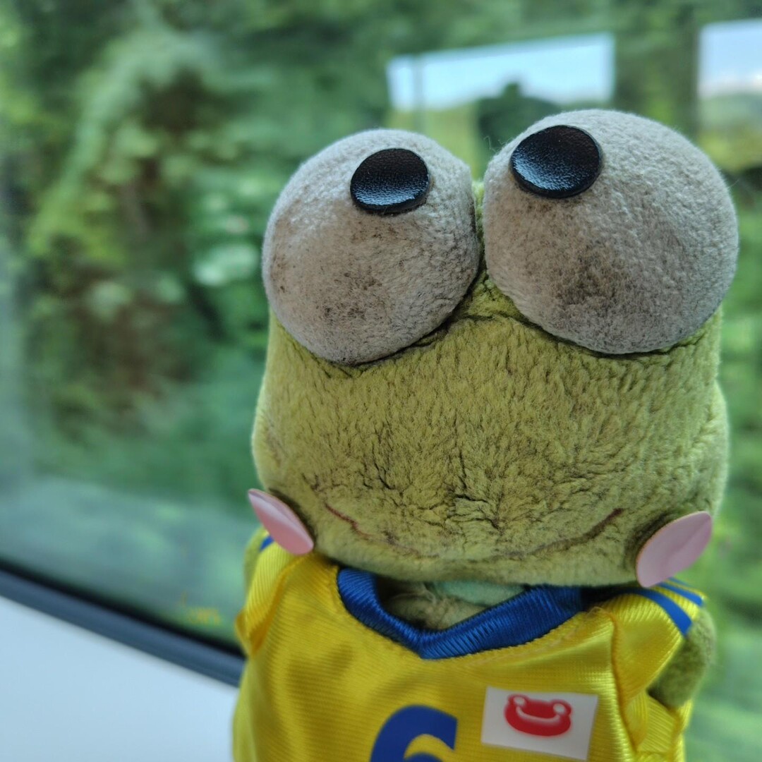 WING KERO ZEROのページ | YAMAP / ヤマップ