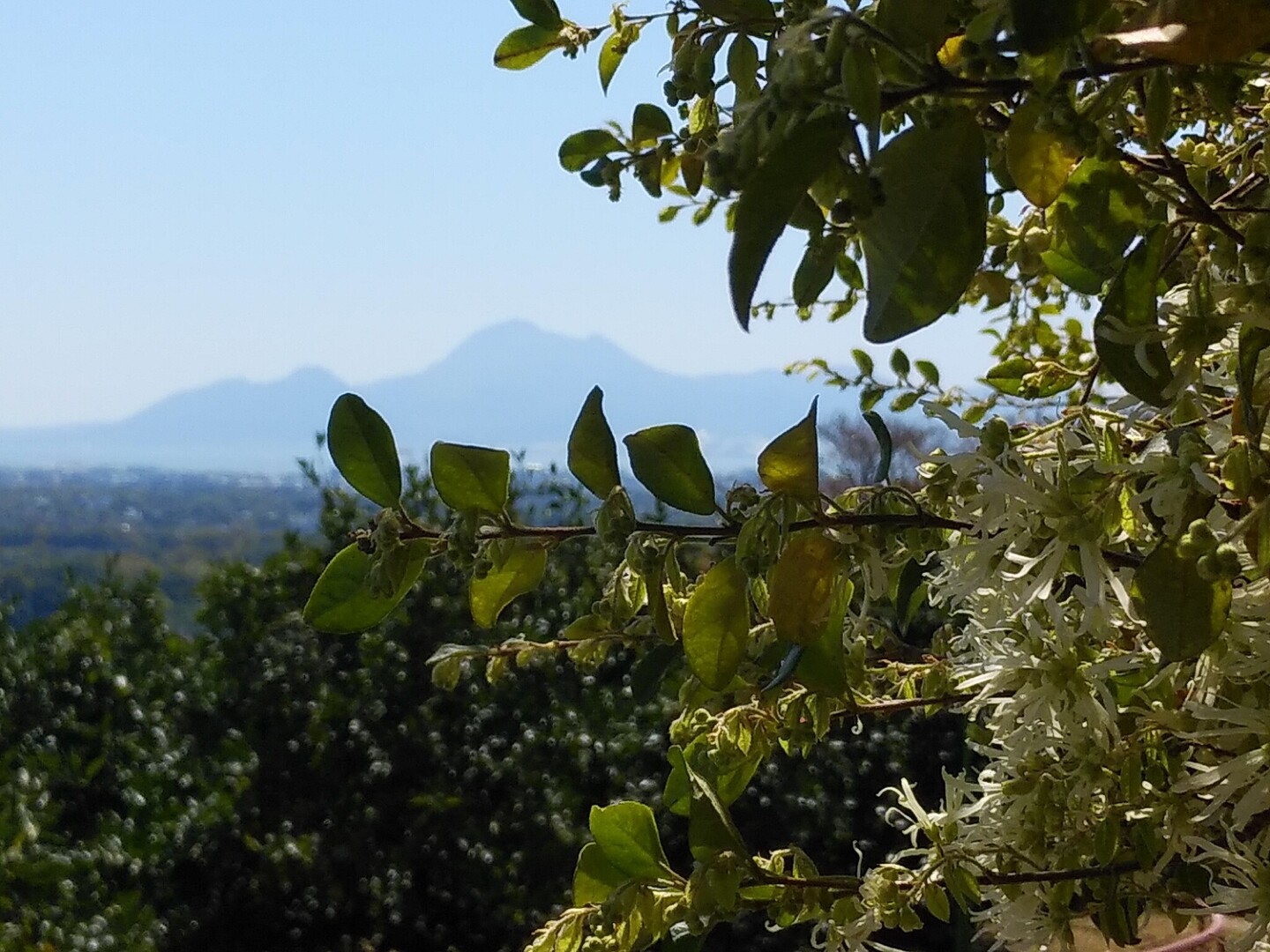 朝から🚲練習終えて、マッタリしてたら嫁... / 繁Gさんのモーメント | YAMAP / ヤマップ