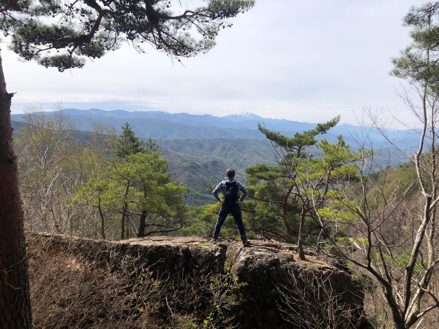 守屋山前嶽・守屋山東峰・守屋山中嶽・守屋山 / a-ziさんの守屋山の活動データ | YAMAP / ヤマップ
