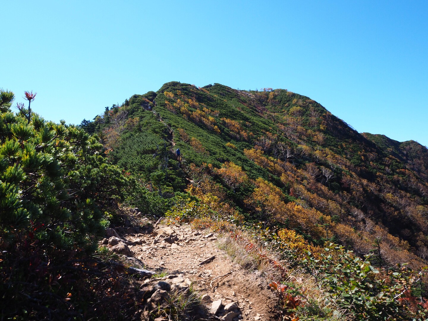 女峰山/日本二百名山 / N7さんの女峰山・赤薙山・大真名子山の活動データ | YAMAP / ヤマップ