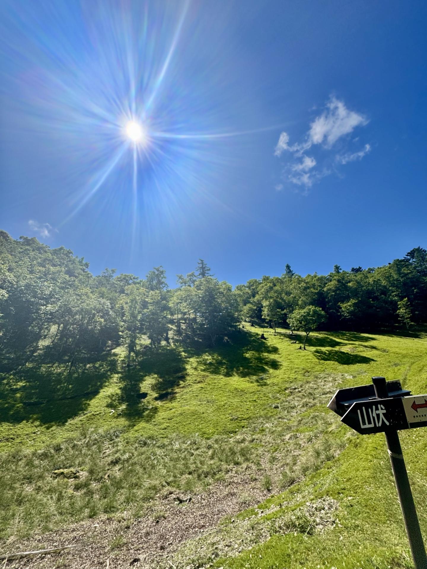【山梨百名山】山伏 / amuさんの山伏・八紘嶺・笹山の活動データ | YAMAP / ヤマップ