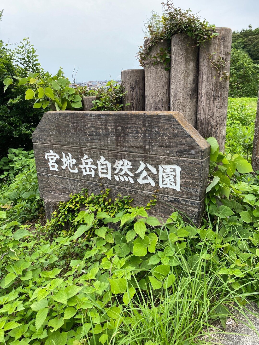 初めての宮地岳 / tonyさんの可也山の活動データ | YAMAP / ヤマップ