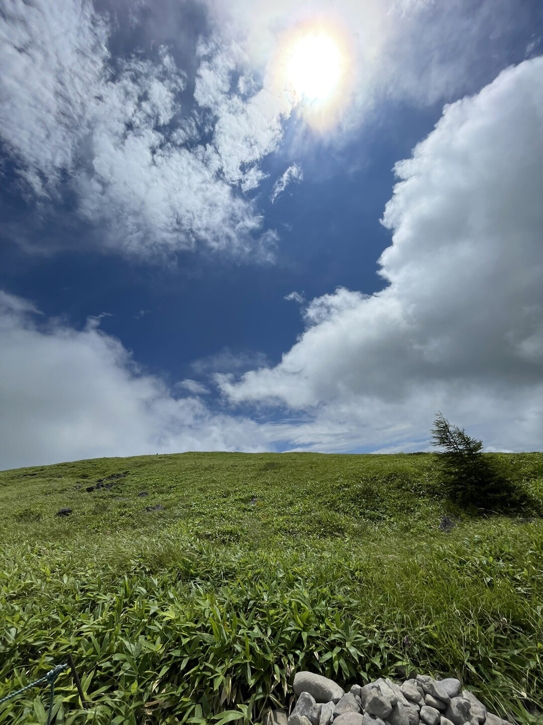 霧ヶ峰へGO‼️ / ryosui_ さんの霧ヶ峰・車山・大笹峰の活動データ | YAMAP / ヤマップ