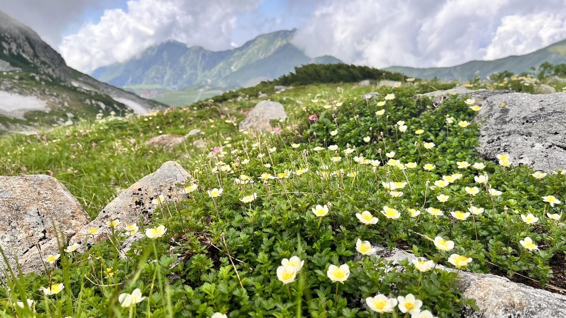立山（雄山）雷鳥荘に宿泊🪽 / mizukiさんの立山・雄山・浄土山の活動データ | YAMAP / ヤマップ