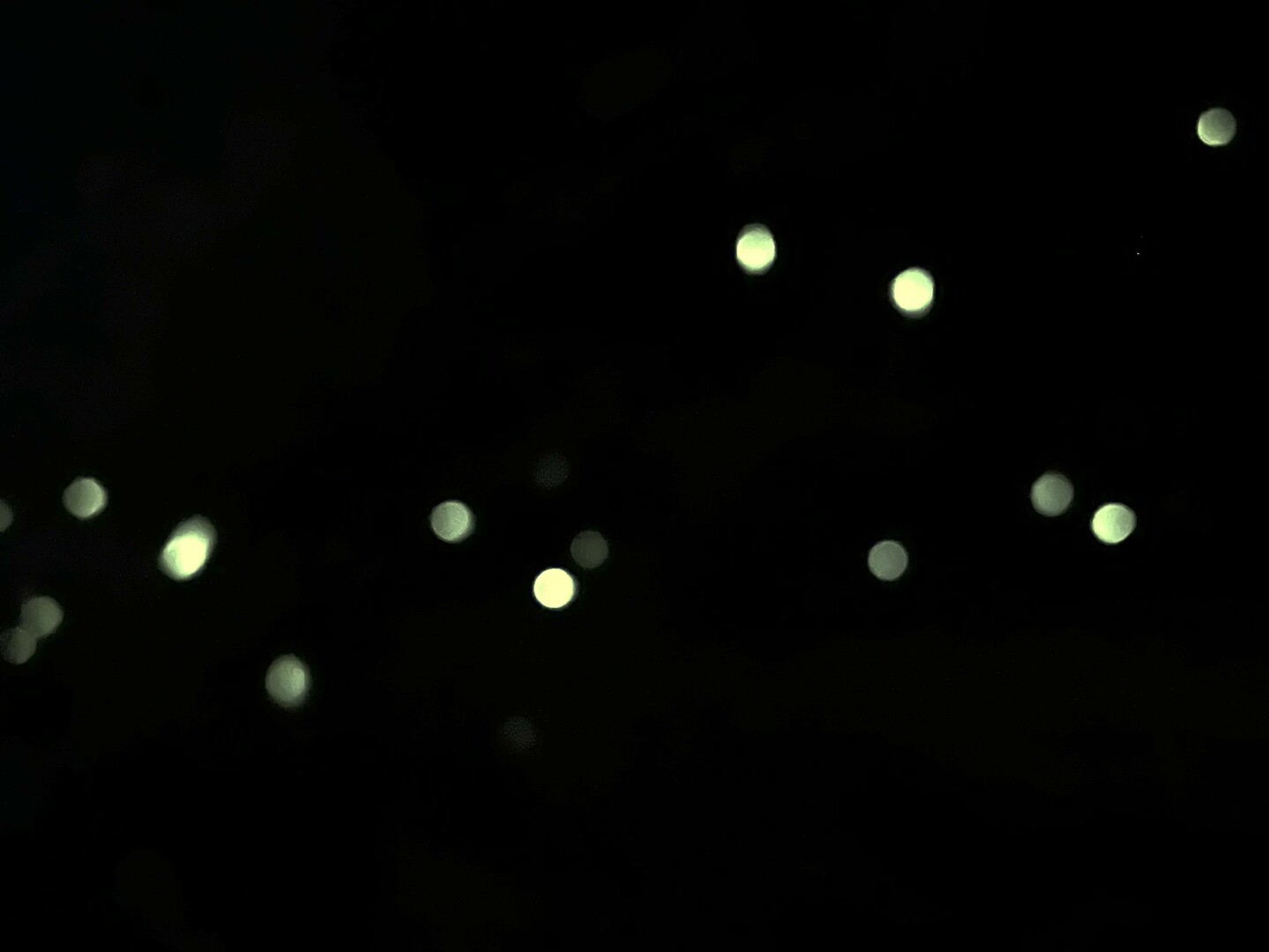 ホタル鑑賞 まねっぷ連鎖 rokuさん... / Hitoming♪さんのモーメント | YAMAP / ヤマップ