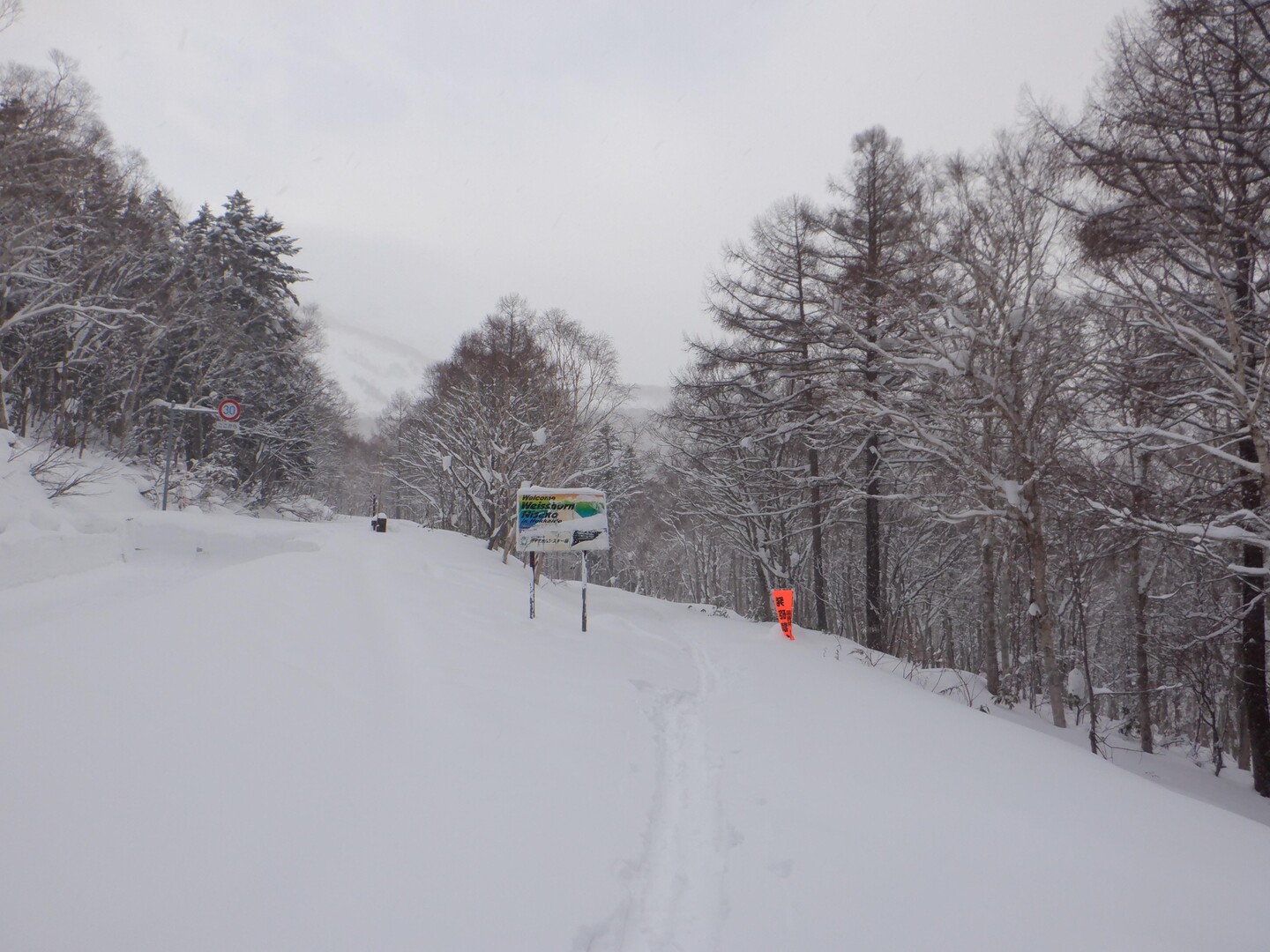 ワイスホルンでBC / sapさんのニセコアンヌプリ・イワオヌプリ・チセヌプリの活動データ | YAMAP / ヤマップ