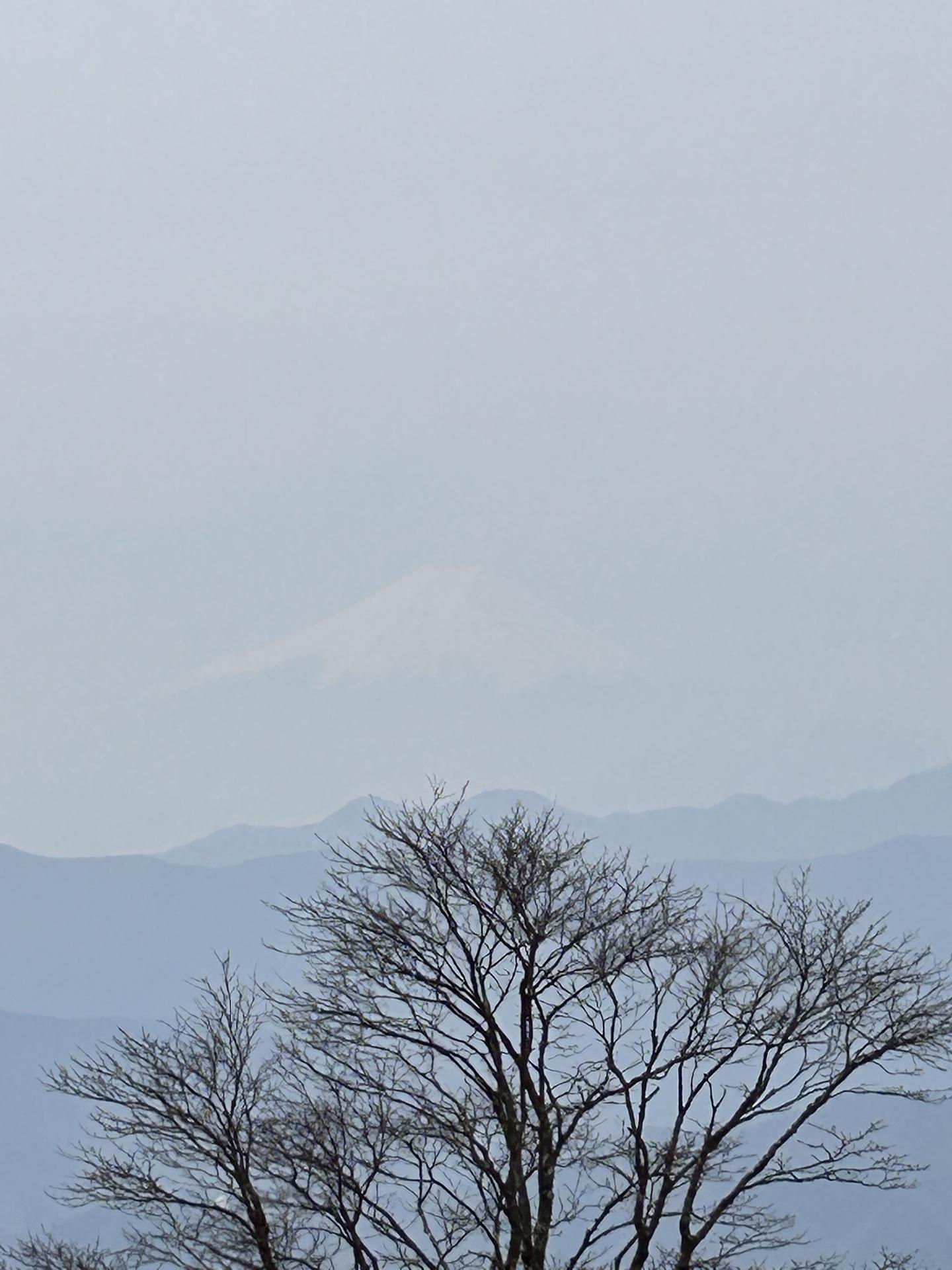 鷹ノ巣山 / MC HIROさんの雲取山・鷹ノ巣山・七ツ石山の活動データ | YAMAP / ヤマップ