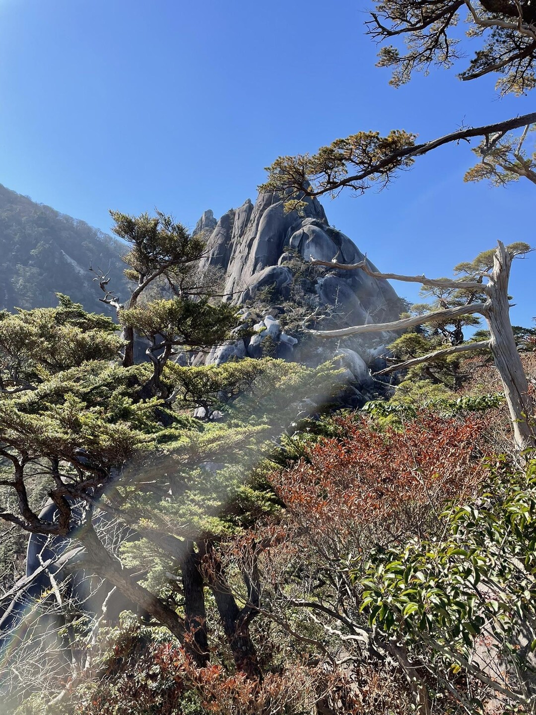 大崩山 / kinjunさんの大崩山・五葉岳・新百姓山の活動データ | YAMAP / ヤマップ