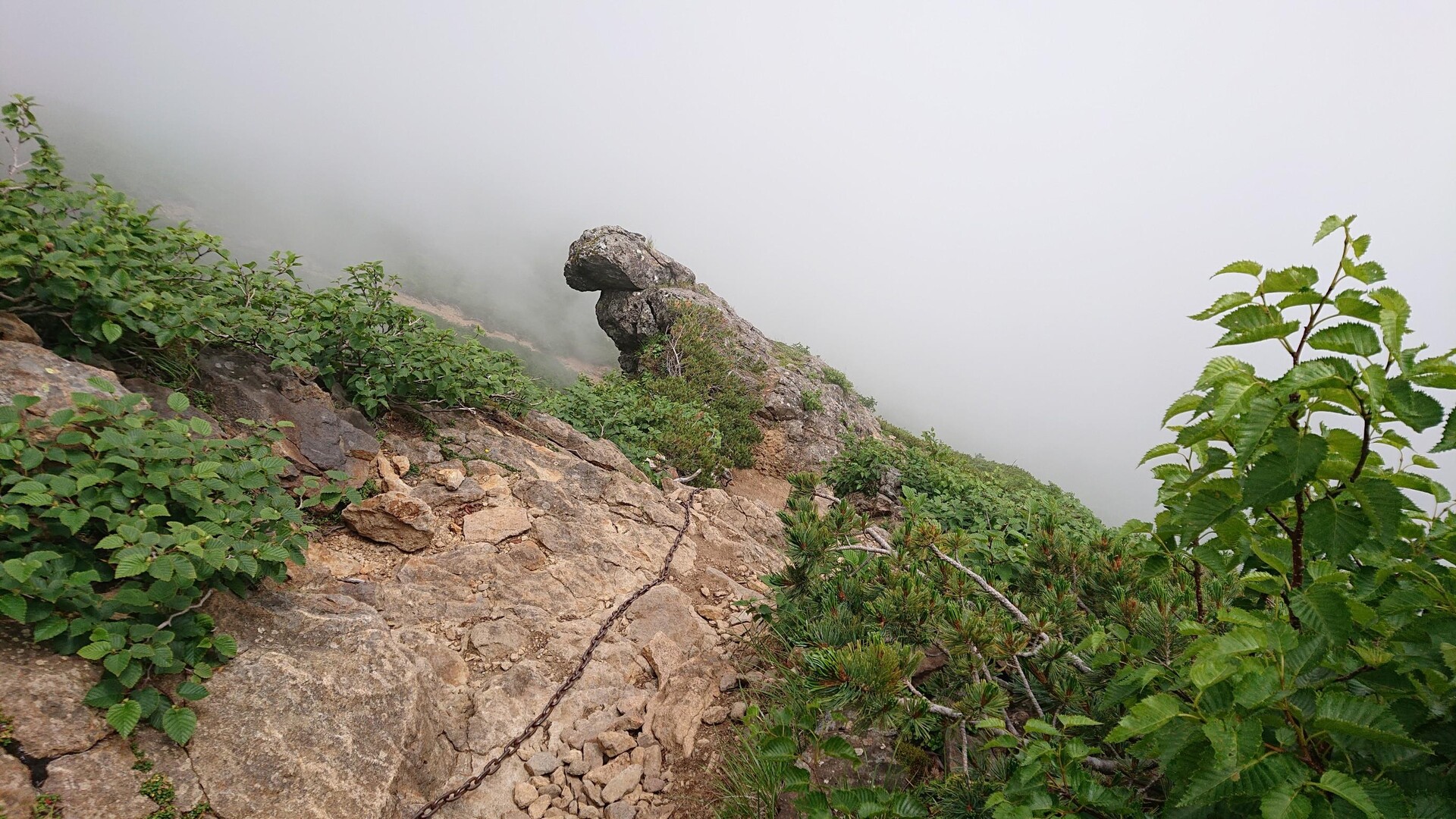 真教寺尾根↑ ～ 県界尾根↓ / big 9さんの八ヶ岳（赤岳・硫黄岳・天狗岳）の活動データ | YAMAP / ヤマップ