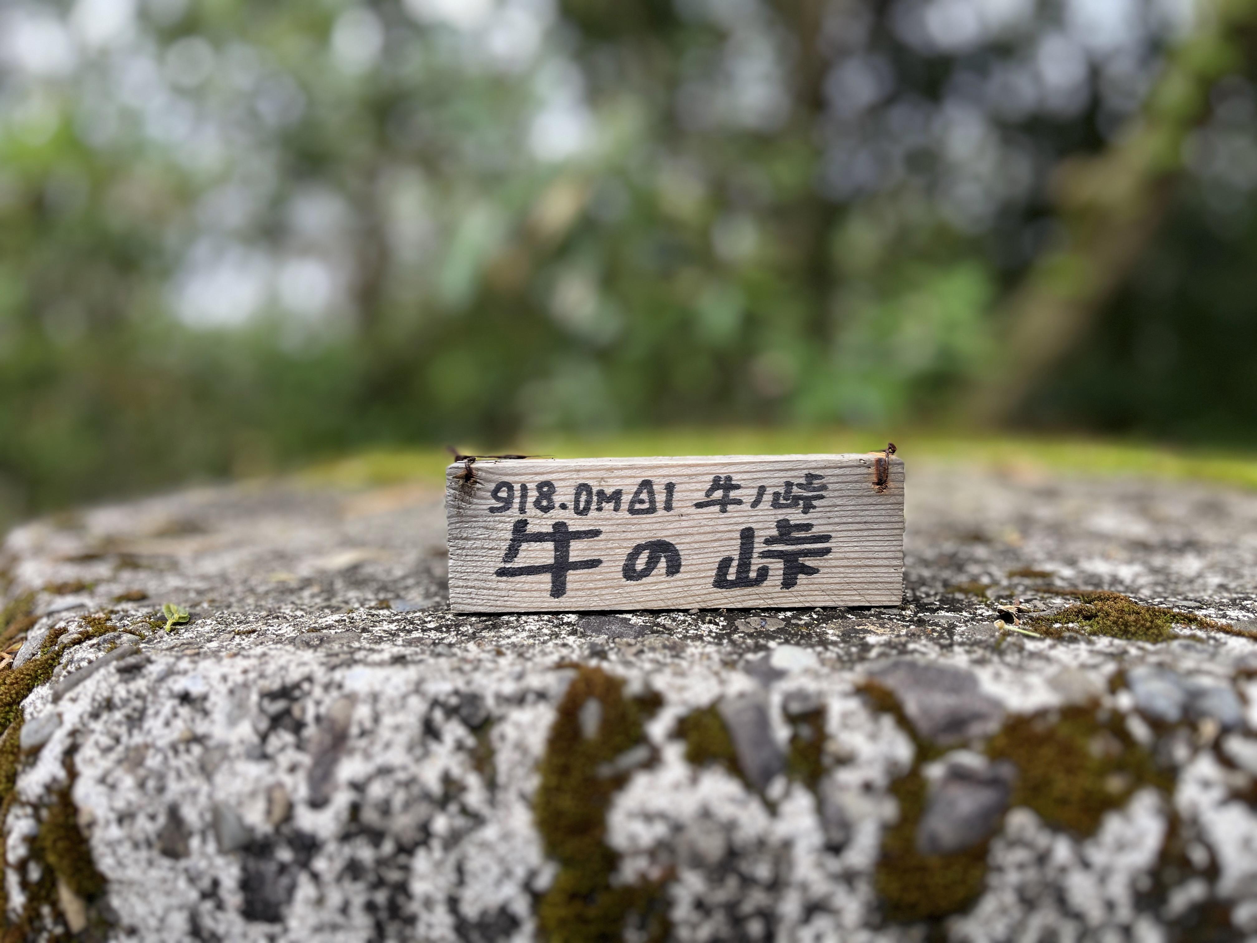 【リベンジ山歩】牛の峠 / 春一番007さんの牛の峠の活動データ | YAMAP / ヤマップ