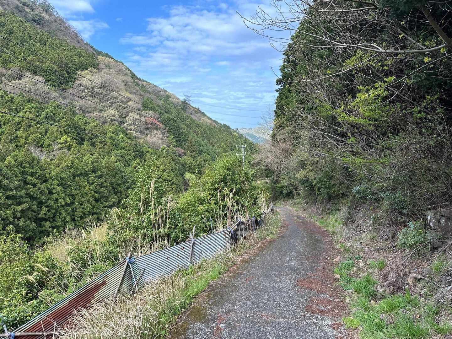 走り遍路16日目 45番岩屋寺から53番円明寺までほっと一息！ / RIckさんの四国遍路その14の活動データ | YAMAP / ヤマップ