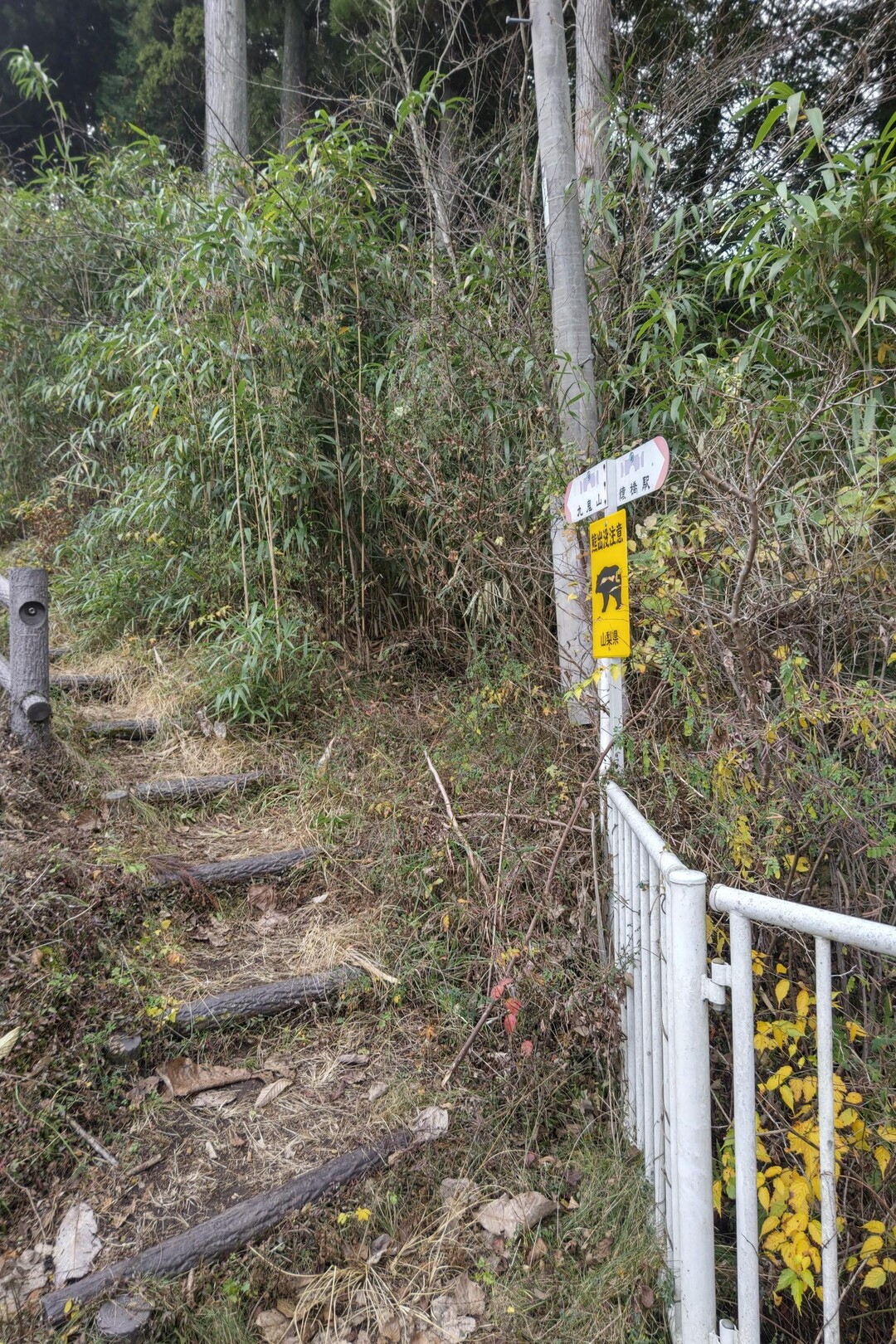 Hectorさんの投稿したフィールドメモ | YAMAP / ヤマップ