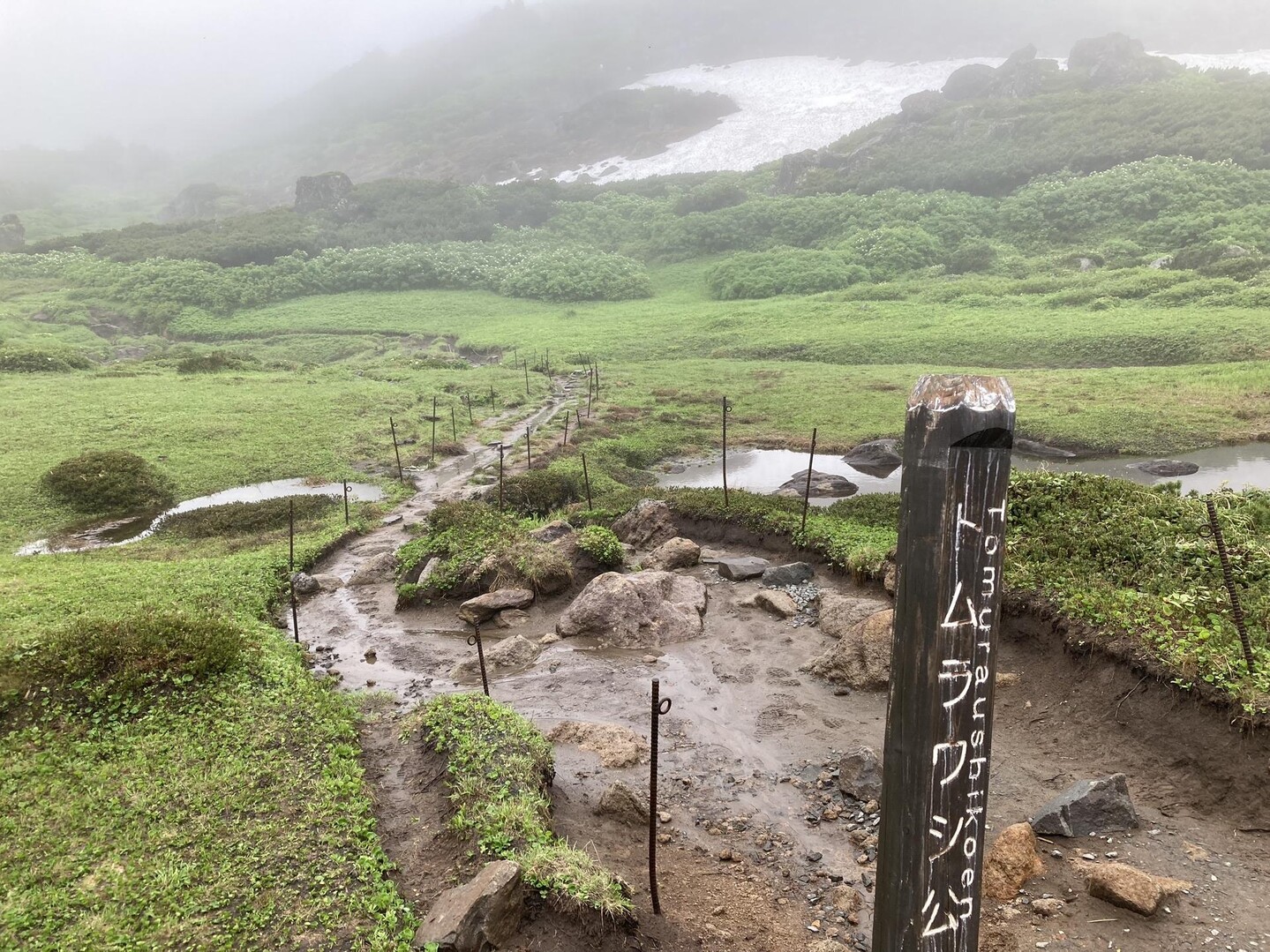 トムラウシ山 / nobleeさんのGT3 2の活動データ | YAMAP / ヤマップ