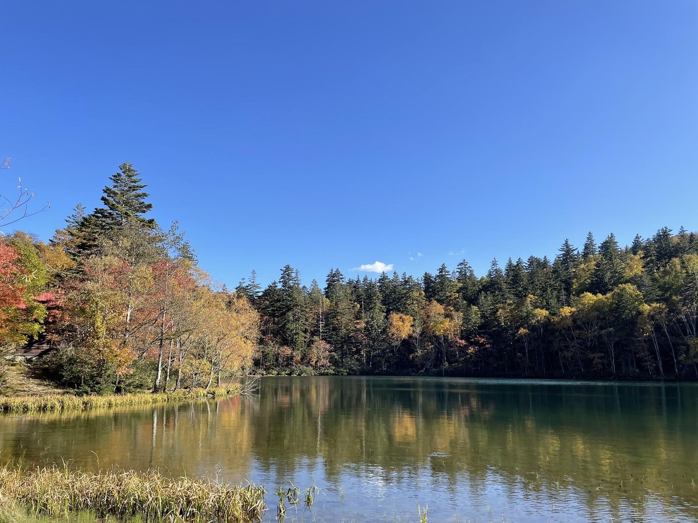 空沼岳 / やまkumiさんの札幌岳・空沼岳の活動データ | YAMAP / ヤマップ