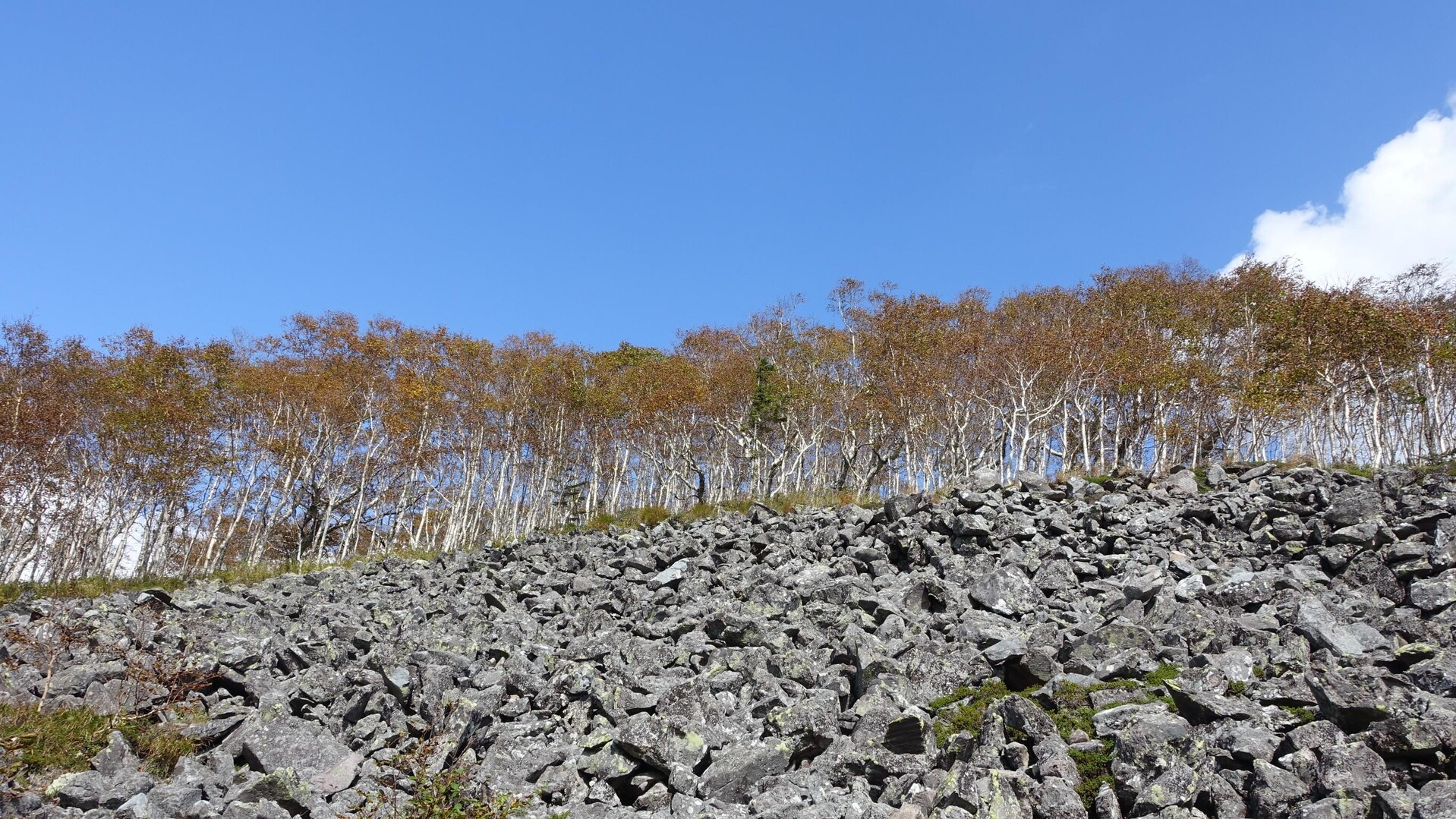 東ヌプカウシヌプリ / Ryutaさんのハイキングの活動データ | YAMAP / ヤマップ