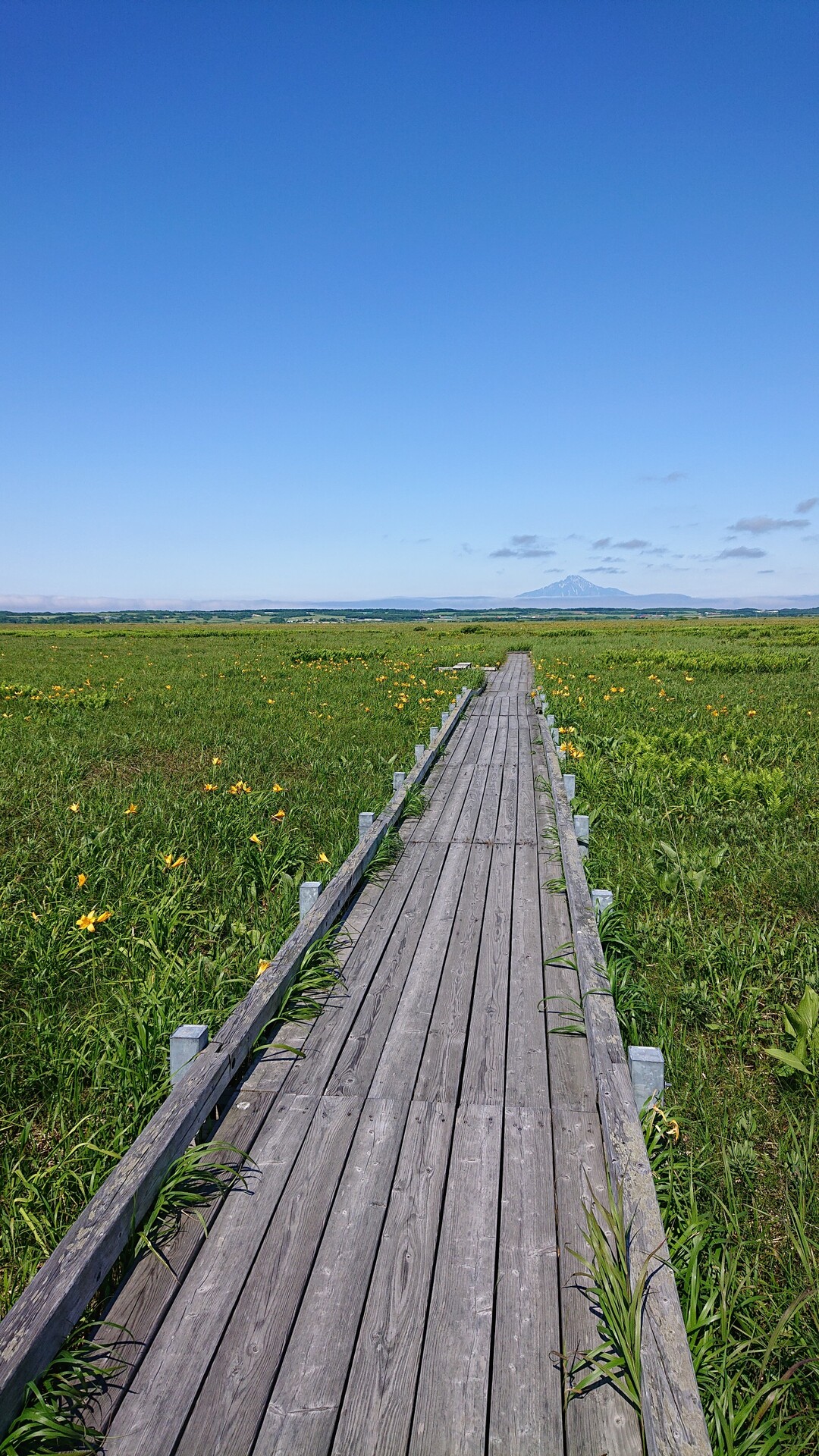 otamaのページ | YAMAP / ヤマップ