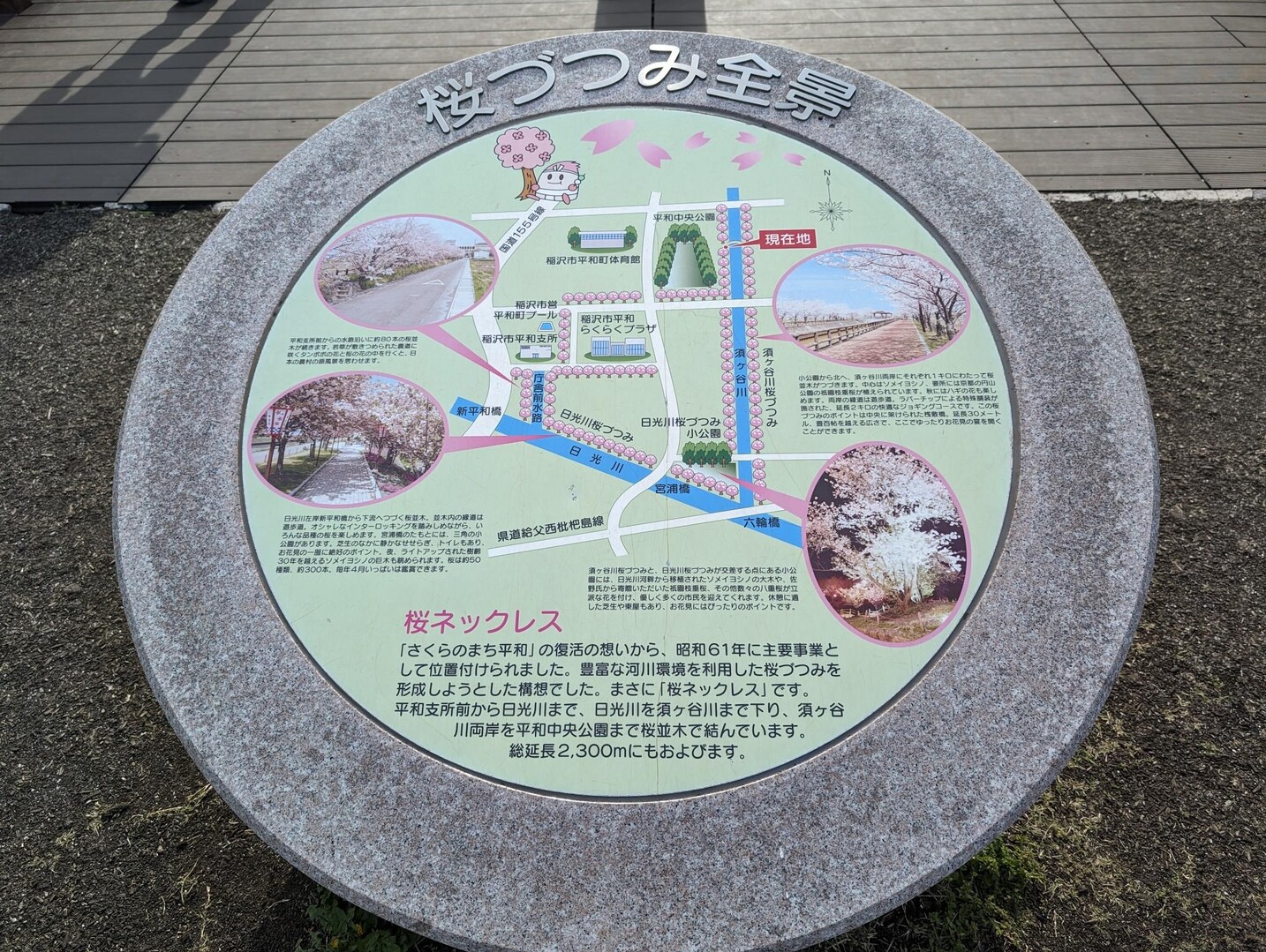 桜ネックレスを散歩 / カンタさんのモーメント | YAMAP / ヤマップ